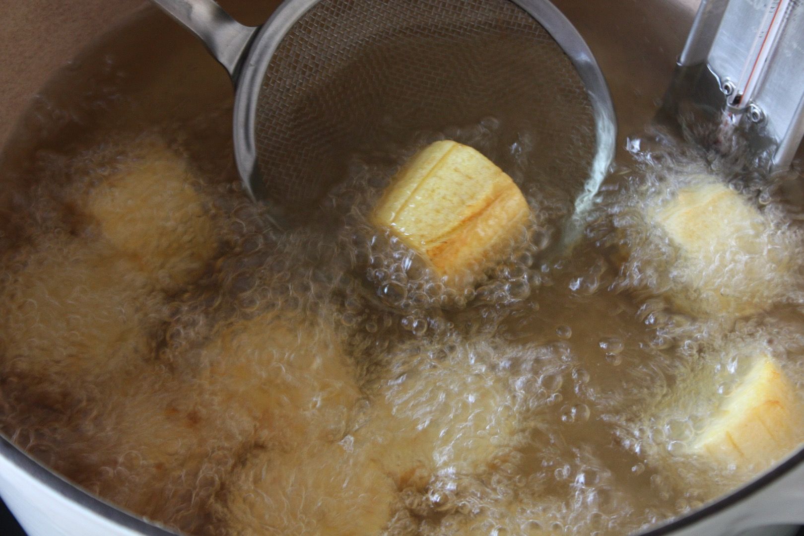 Meet the Patacon! : 6 Steps (with Pictures) - Instructables