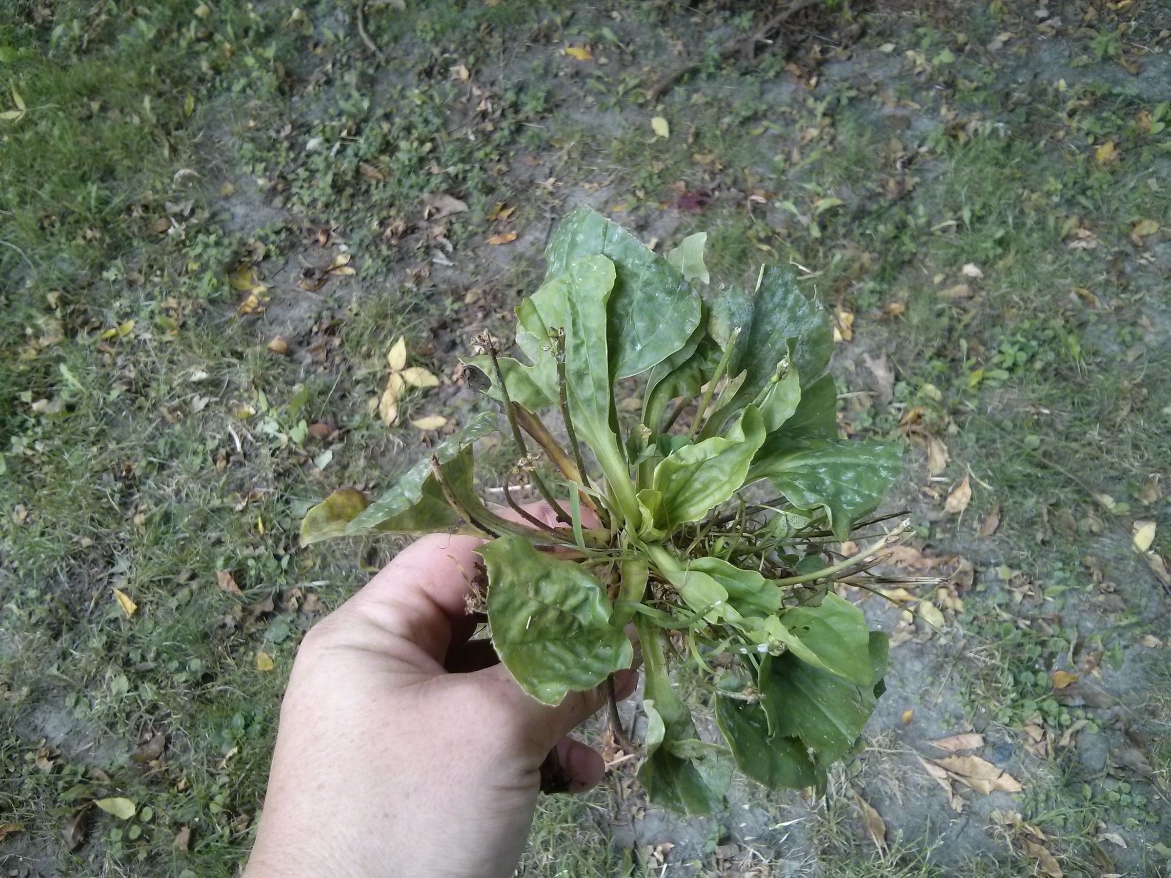 Primitive Net Making From Carving Your Needle to Weaving Your Net : 10 ...