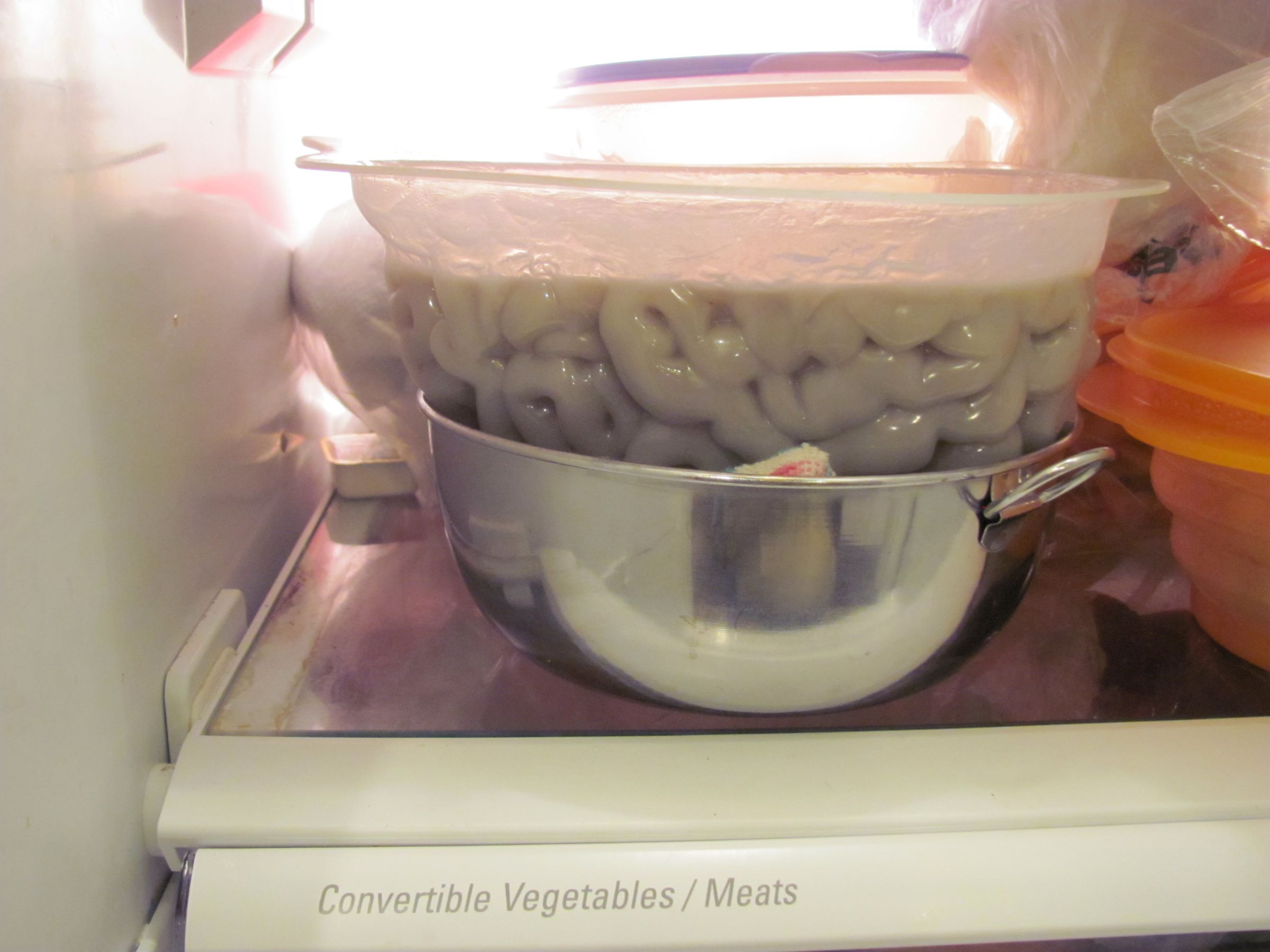 'Brain Food' (Jello Brain) : 8 Steps (with Pictures) - Instructables