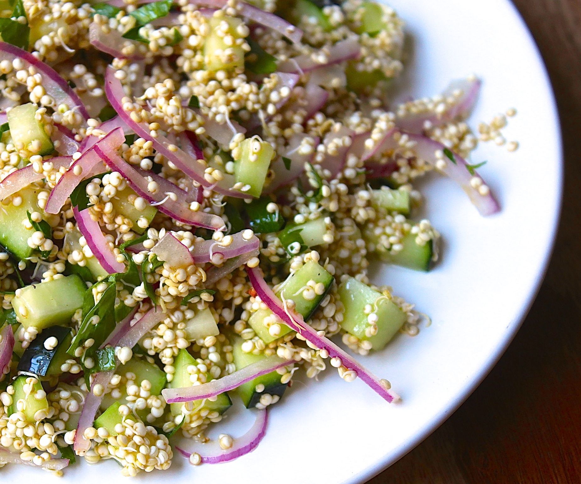 Sprouted Quinoa Salad : 3 Steps (with Pictures) - Instructables