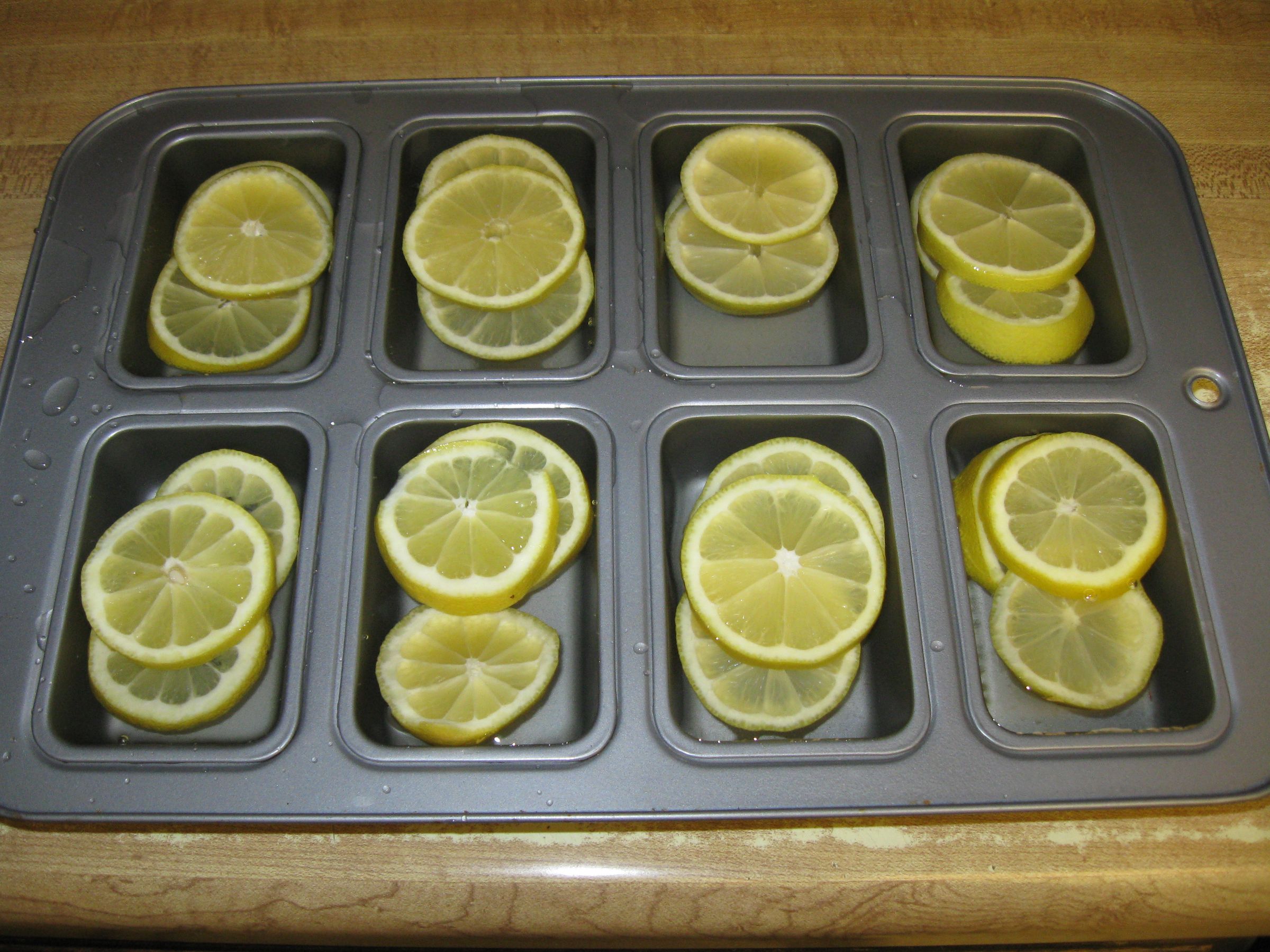 How to Have Fresh Lemon Slices Year-round : 6 Steps - Instructables