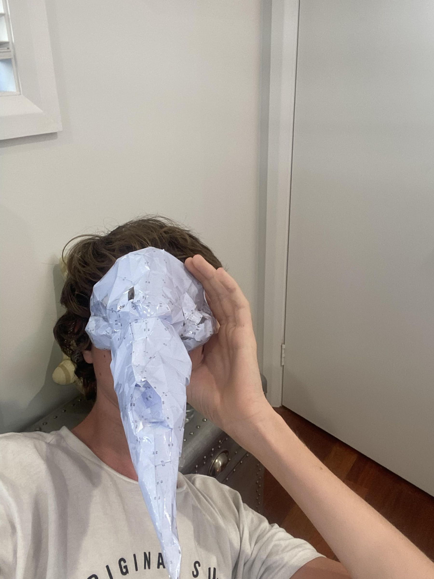 Pathalogic 2 Executor's Mask : 19 Steps (with Pictures) - Instructables