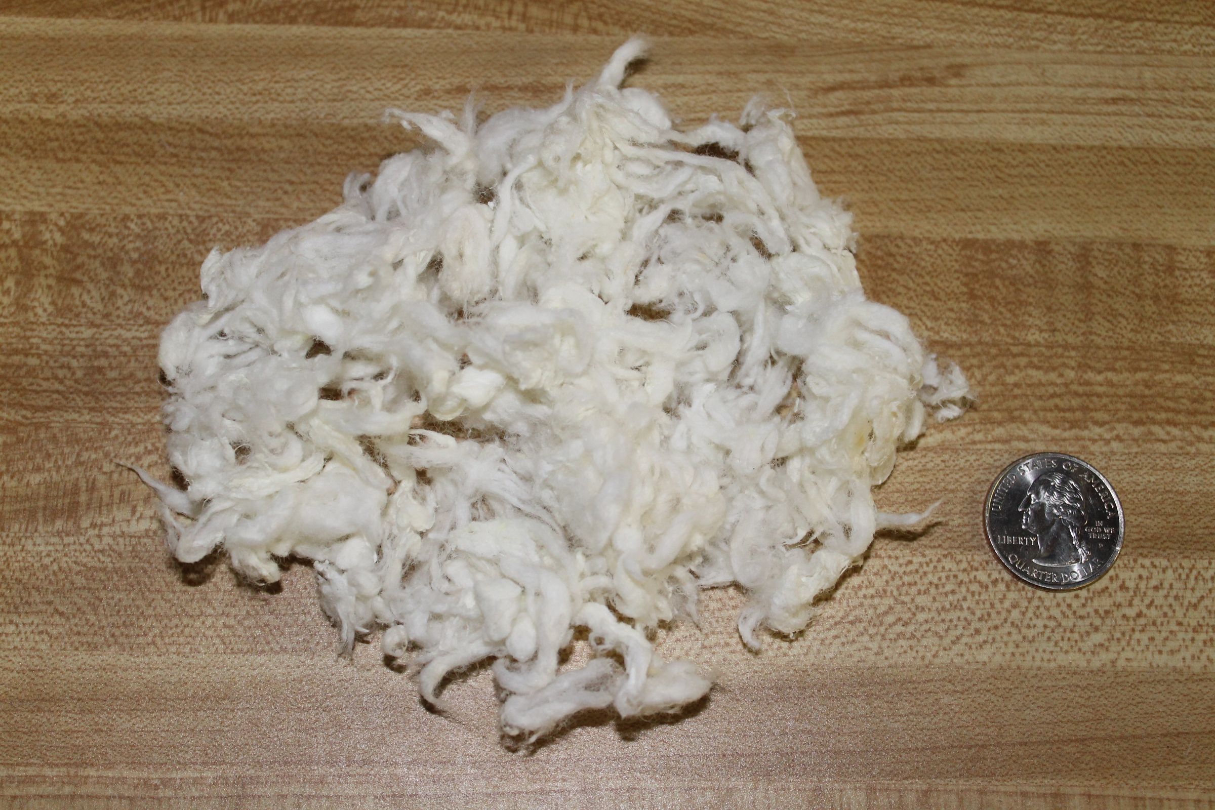 Flash Cotton (Nitrocellulose) : 4 Steps - Instructables