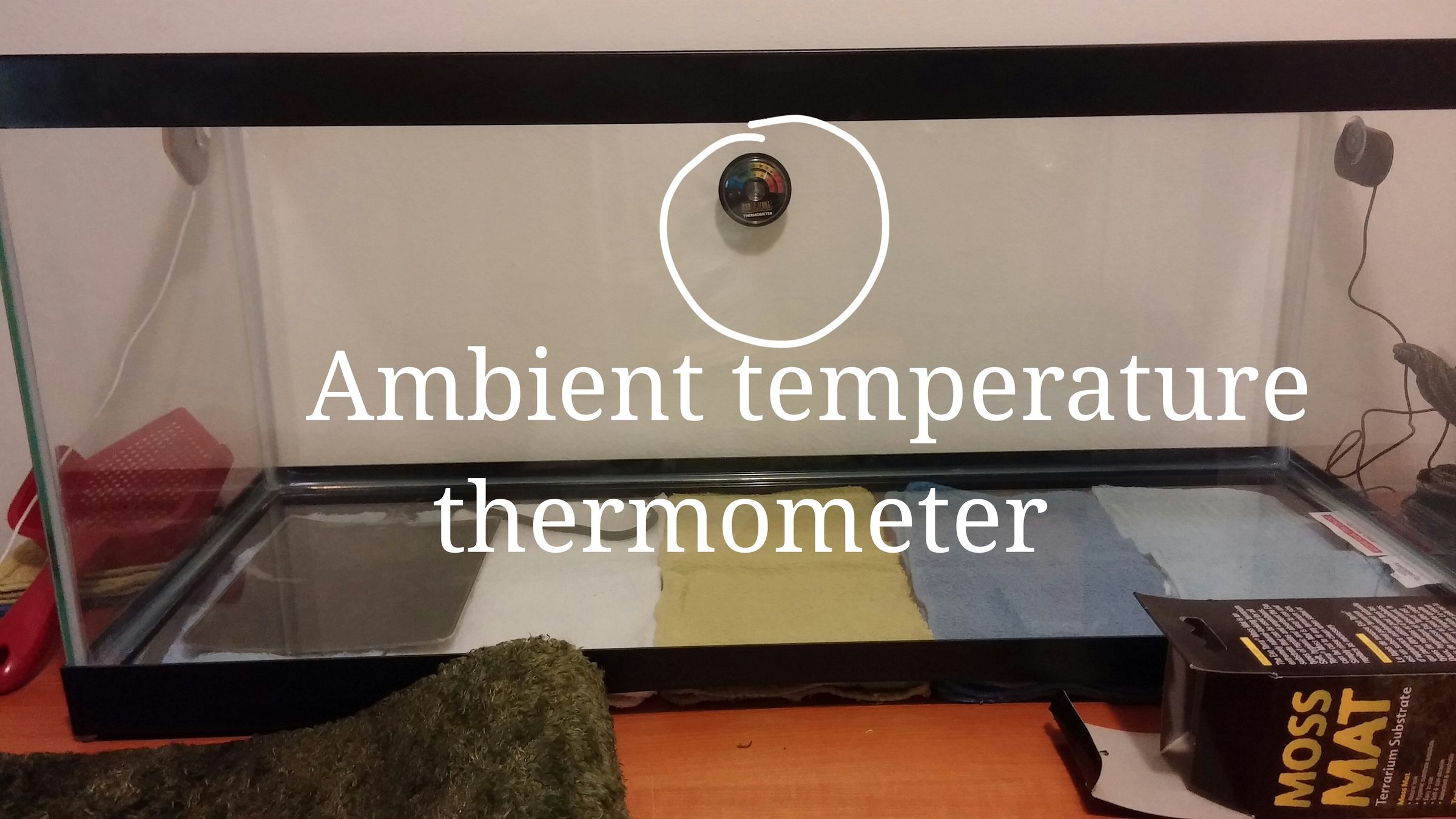 How to Set Up a Reptile Terrarium : 8 Steps (with Pictures) - Instructables