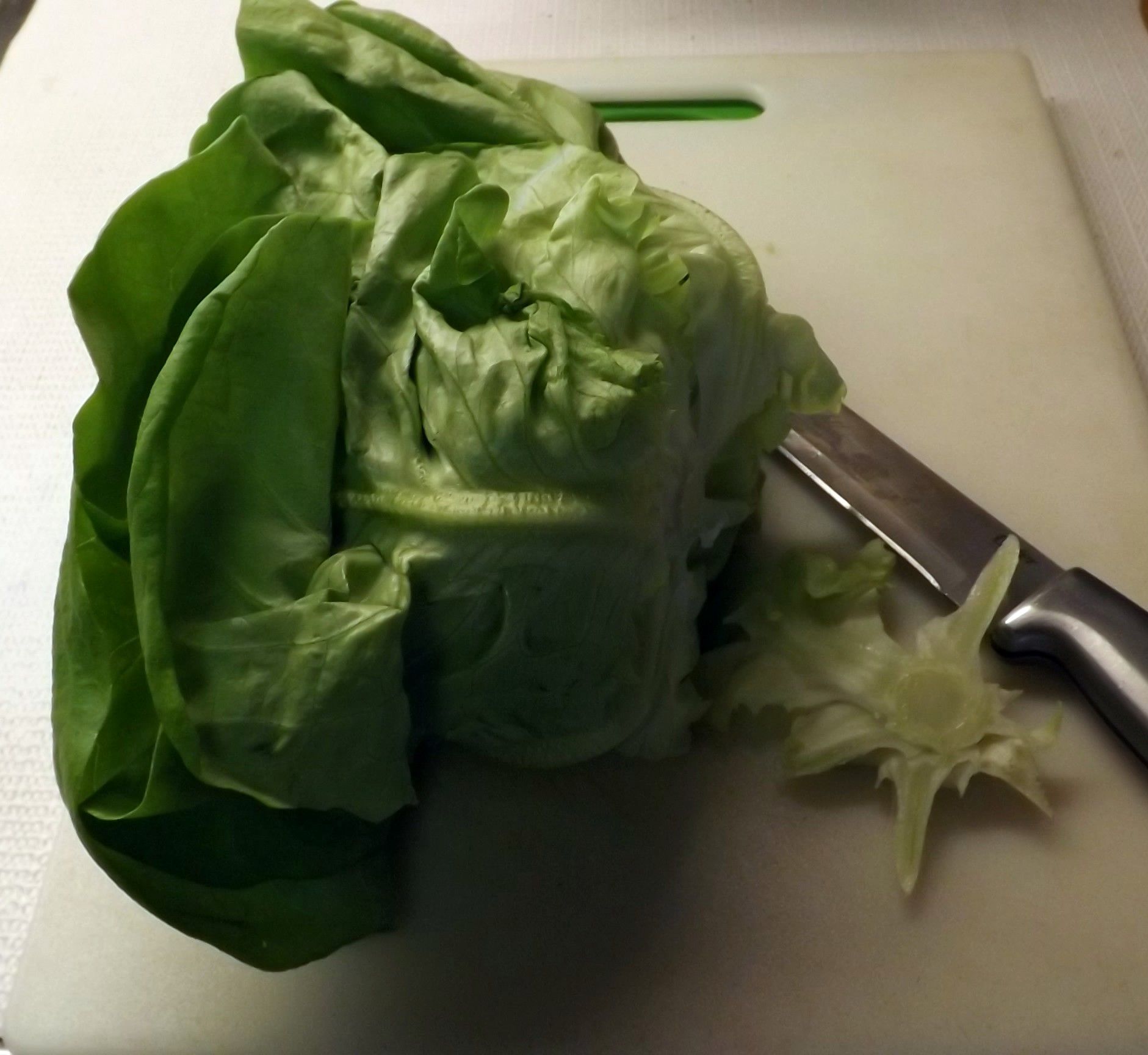 STORING LETTUCE & KEEPING IT FRESH! - Instructables