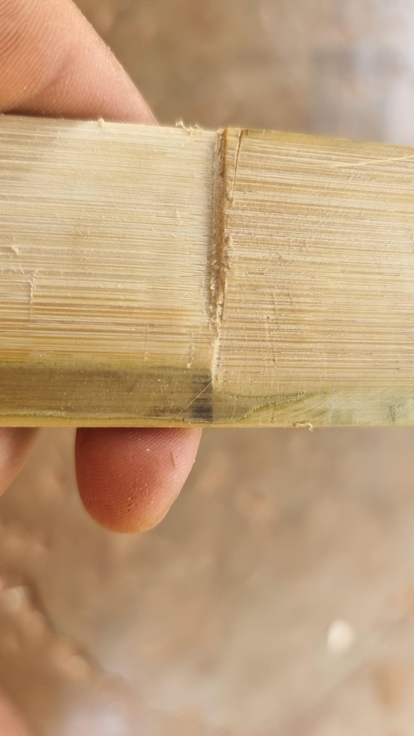 Bamboo Boomerang : 6 Steps (with Pictures) - Instructables