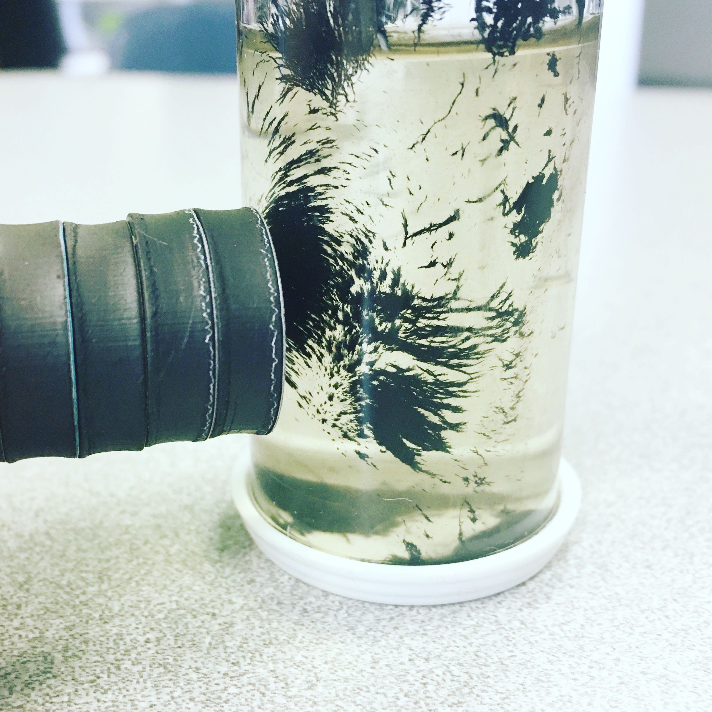 Homemade Ferrofluid : 4 Steps - Instructables