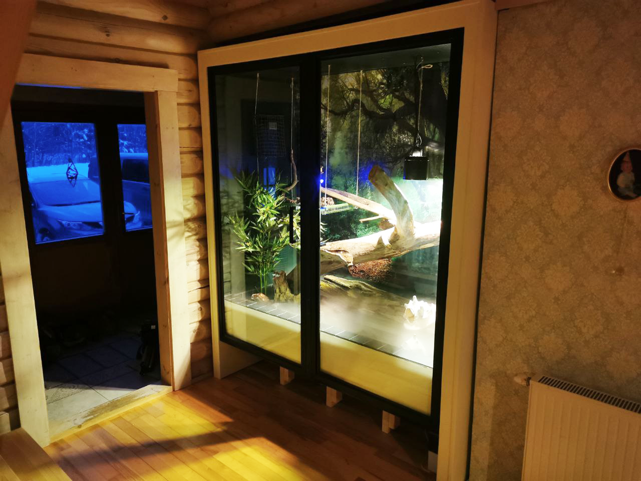 Vivarium for a Reptile : 12 Steps (with Pictures) - Instructables