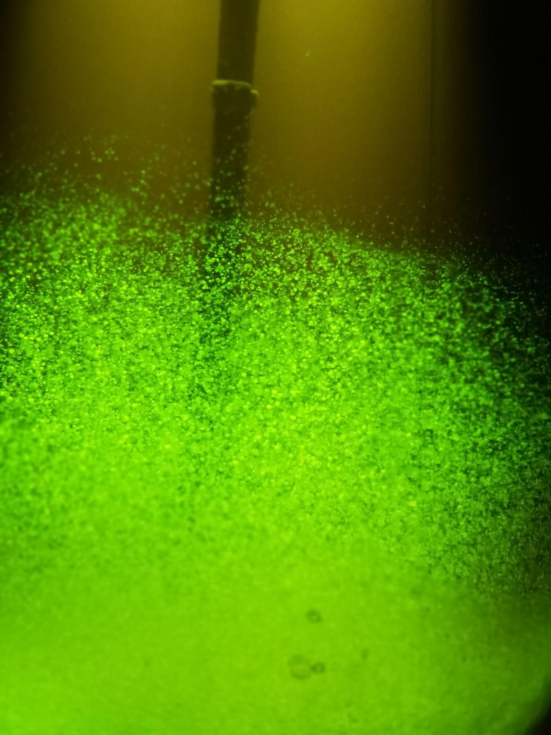 Fluorescent Oil Lava Lamp : 6 Steps - Instructables