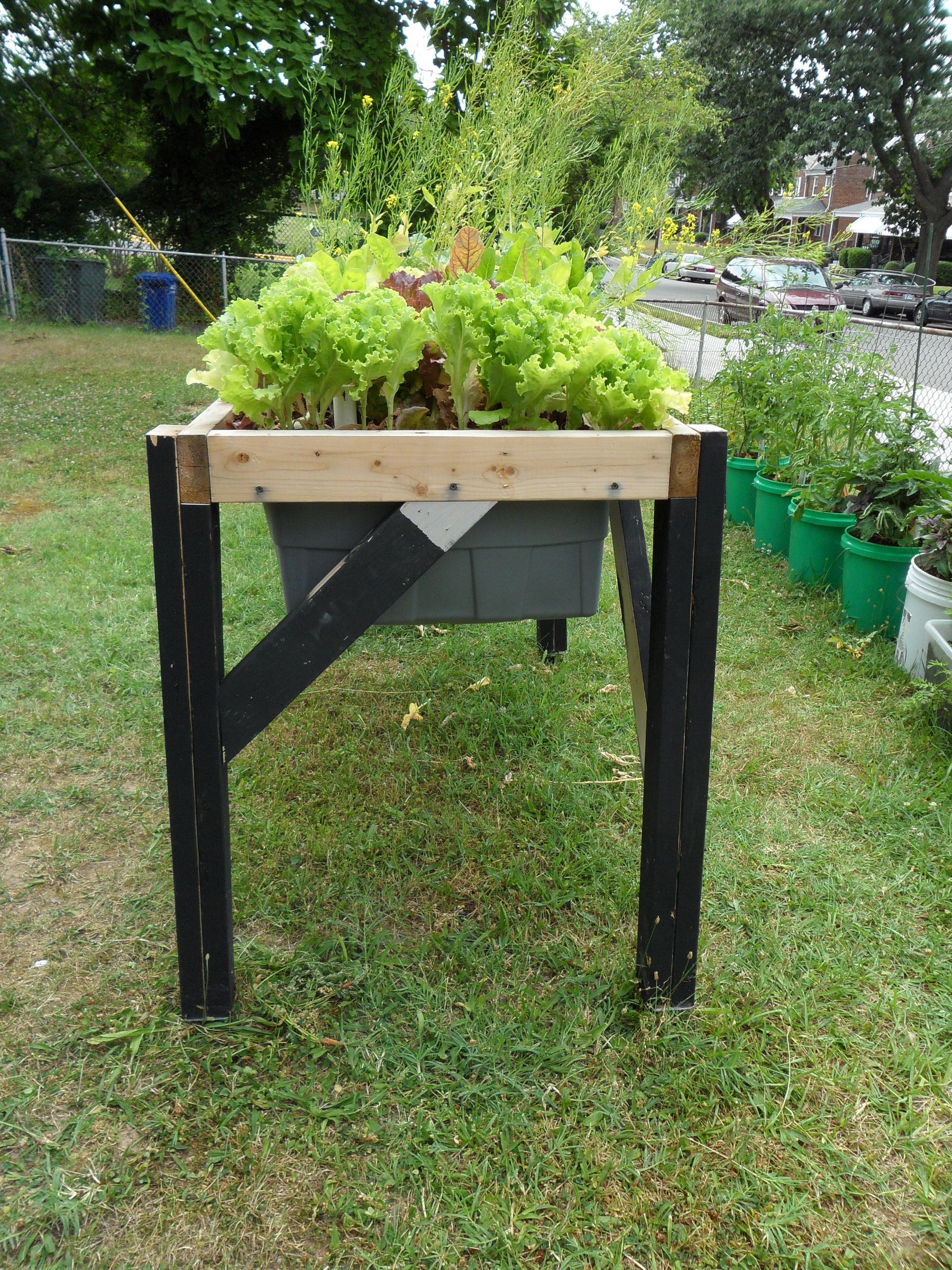 Self-Watering Veggie Table : 15 Steps (with Pictures) - Instructables