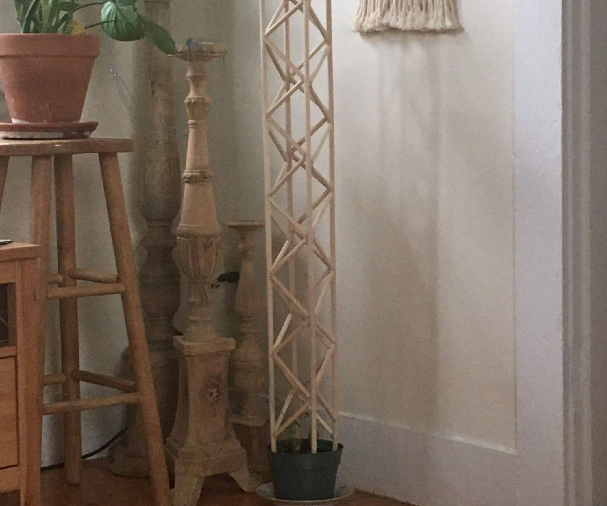 Indoor Hops Trellis : 5 Steps - Instructables