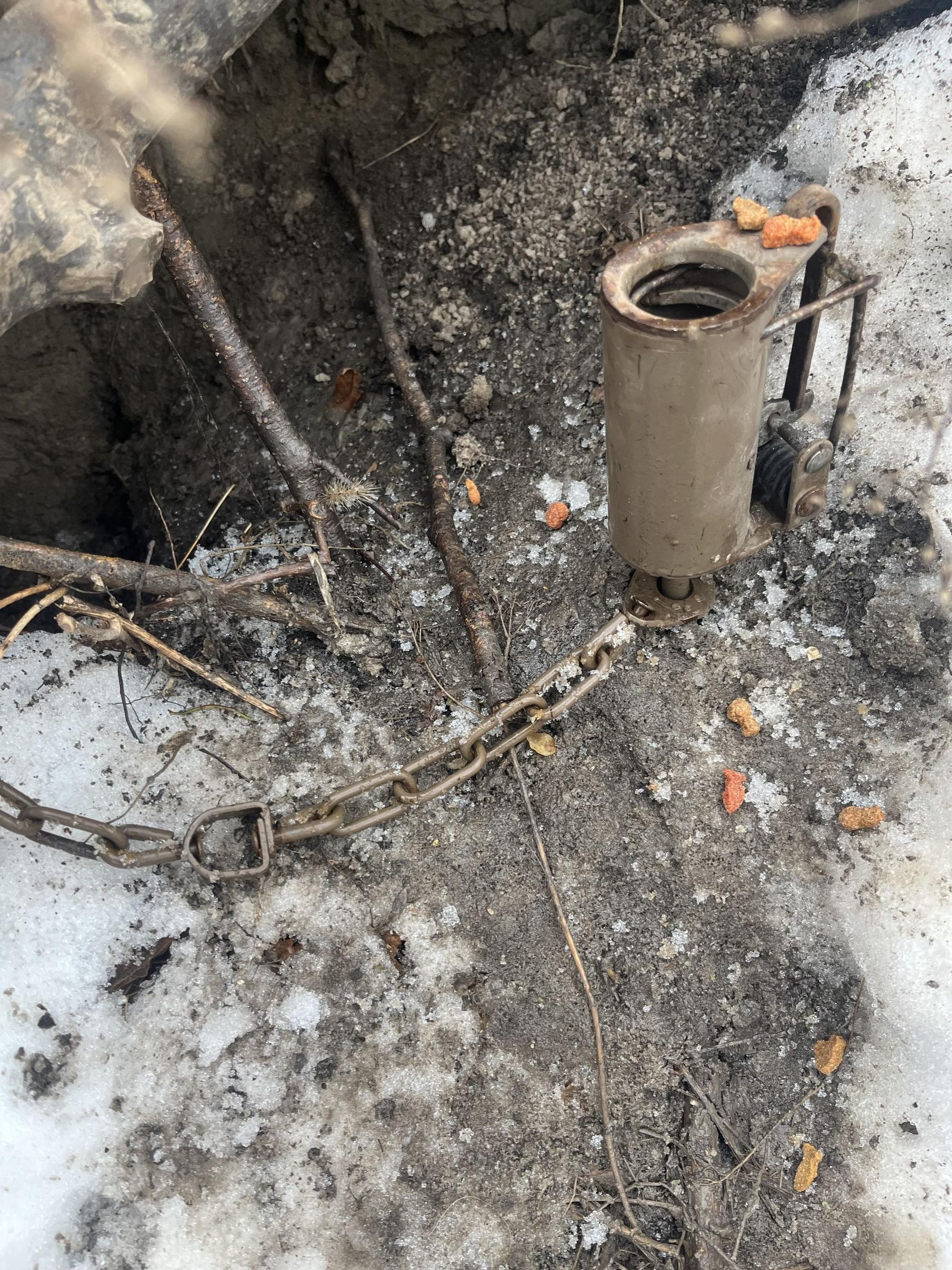 Trapping 101 : 4 Steps - Instructables