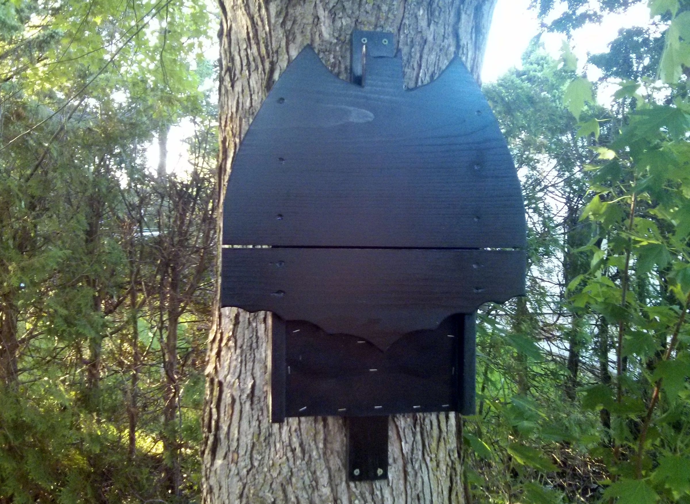 Batman Logo Bat Box House : 10 Steps (with Pictures) - Instructables