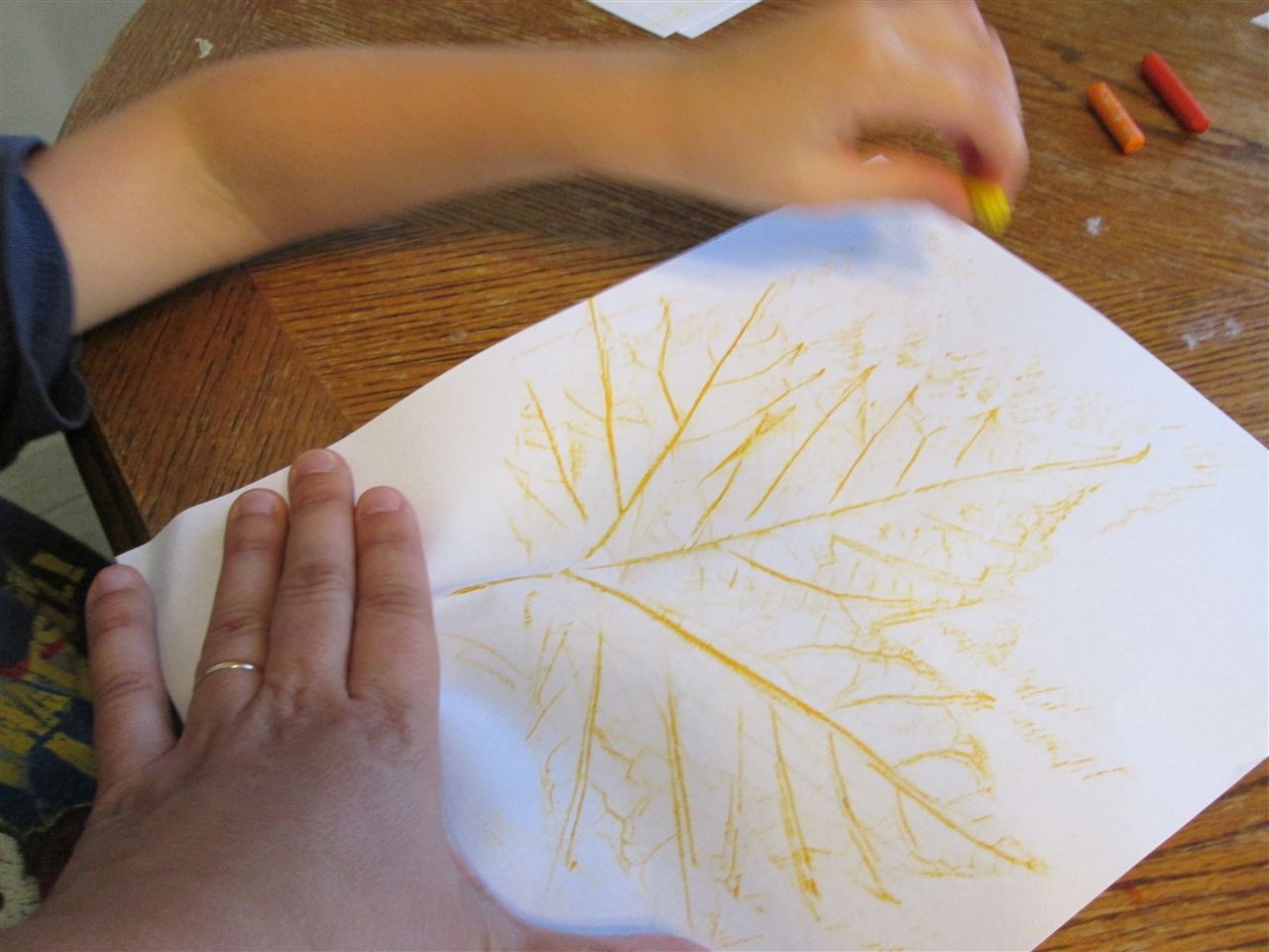 DIY Construction Paper Solar Prints : 6 Steps (with Pictures ...