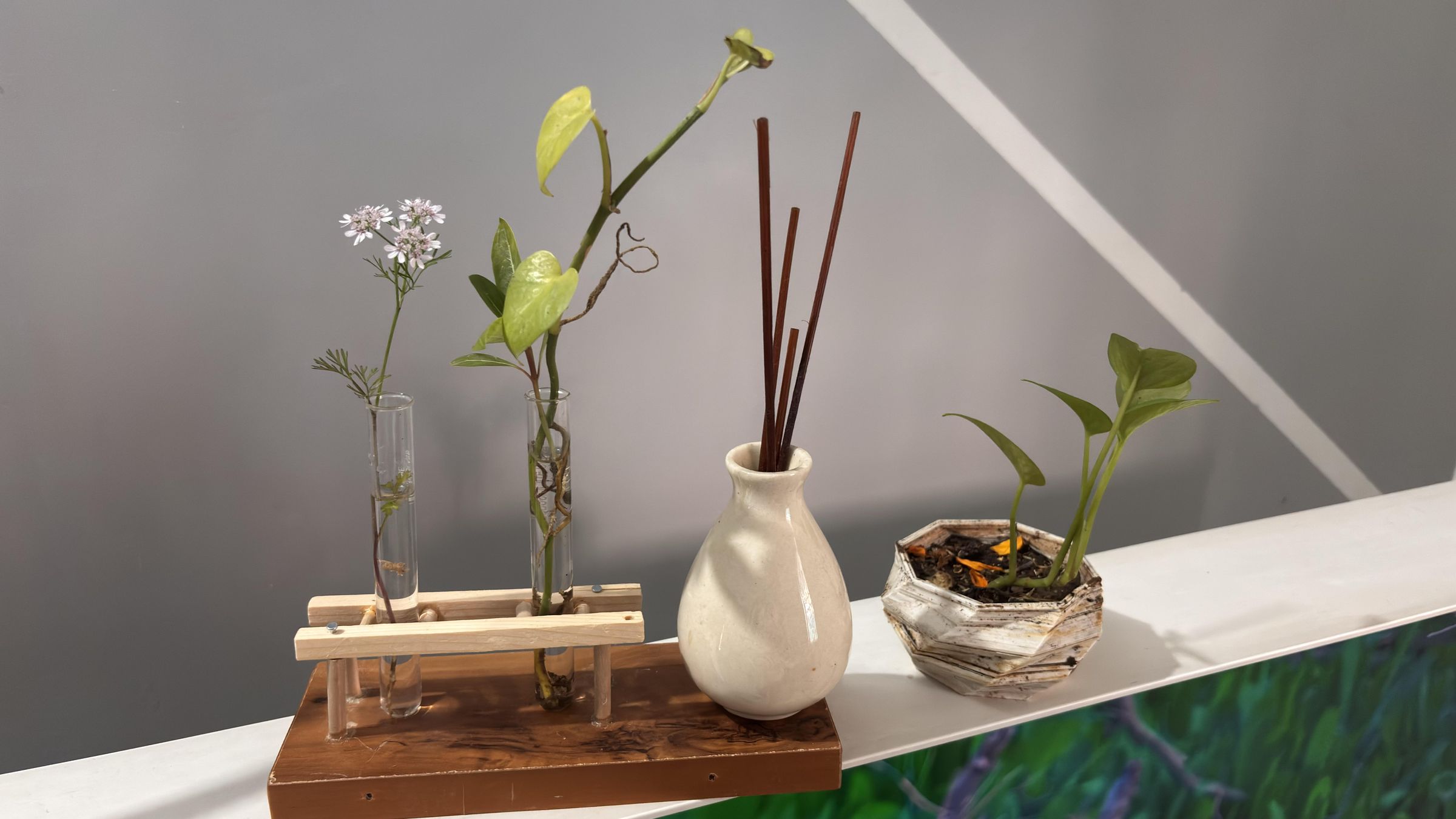 Decorative Plant Terrarium : 11 Steps (with Pictures) - Instructables
