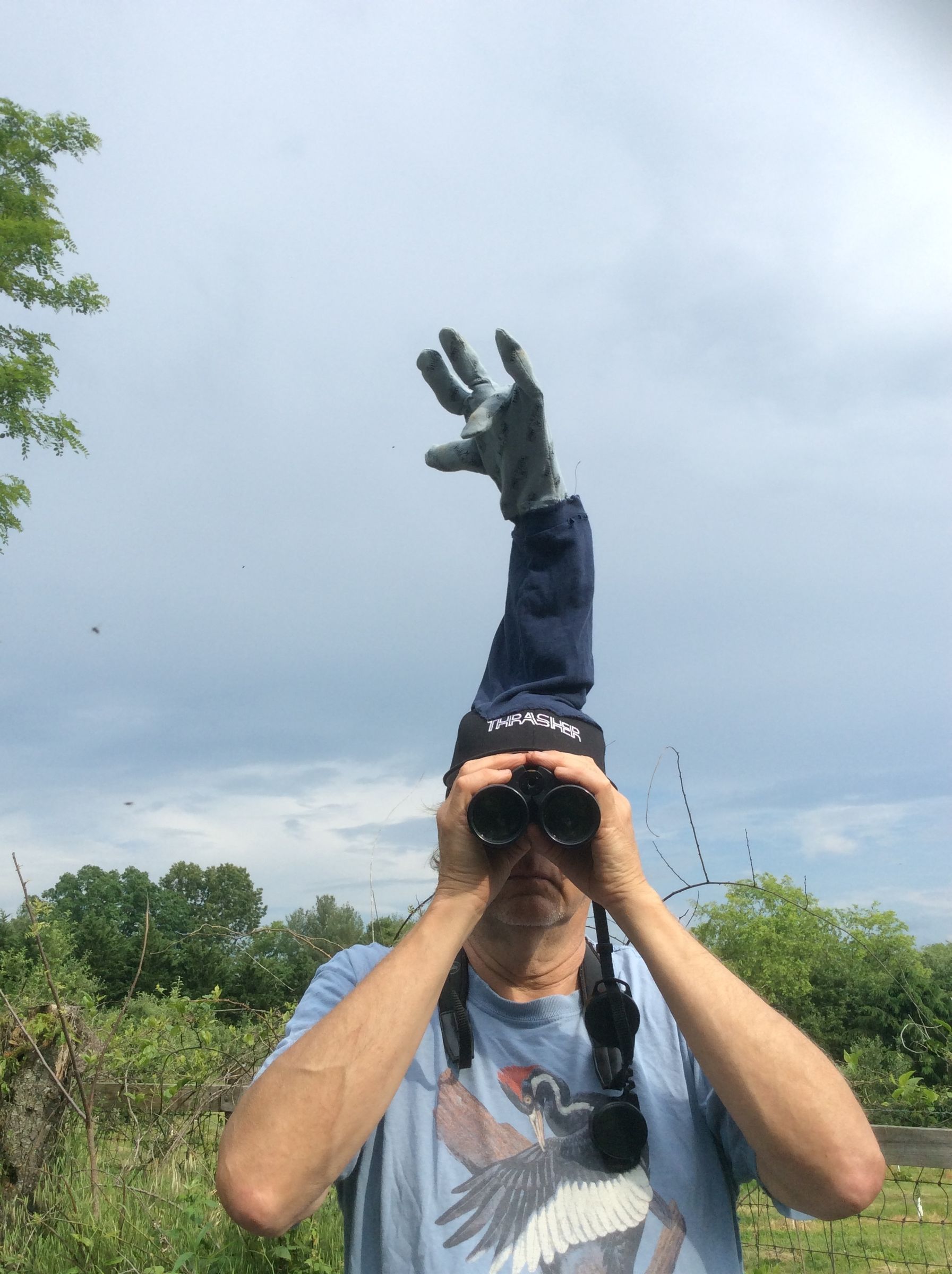 Silly Anti-Gnat Hat : 5 Steps (with Pictures) - Instructables