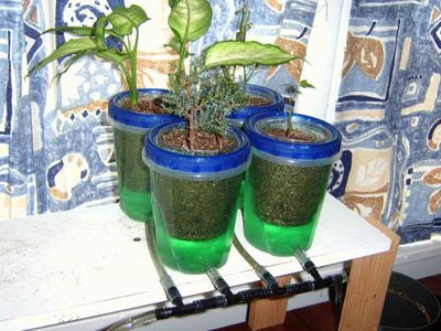 Table Top Hydroponics : 5 Steps - Instructables