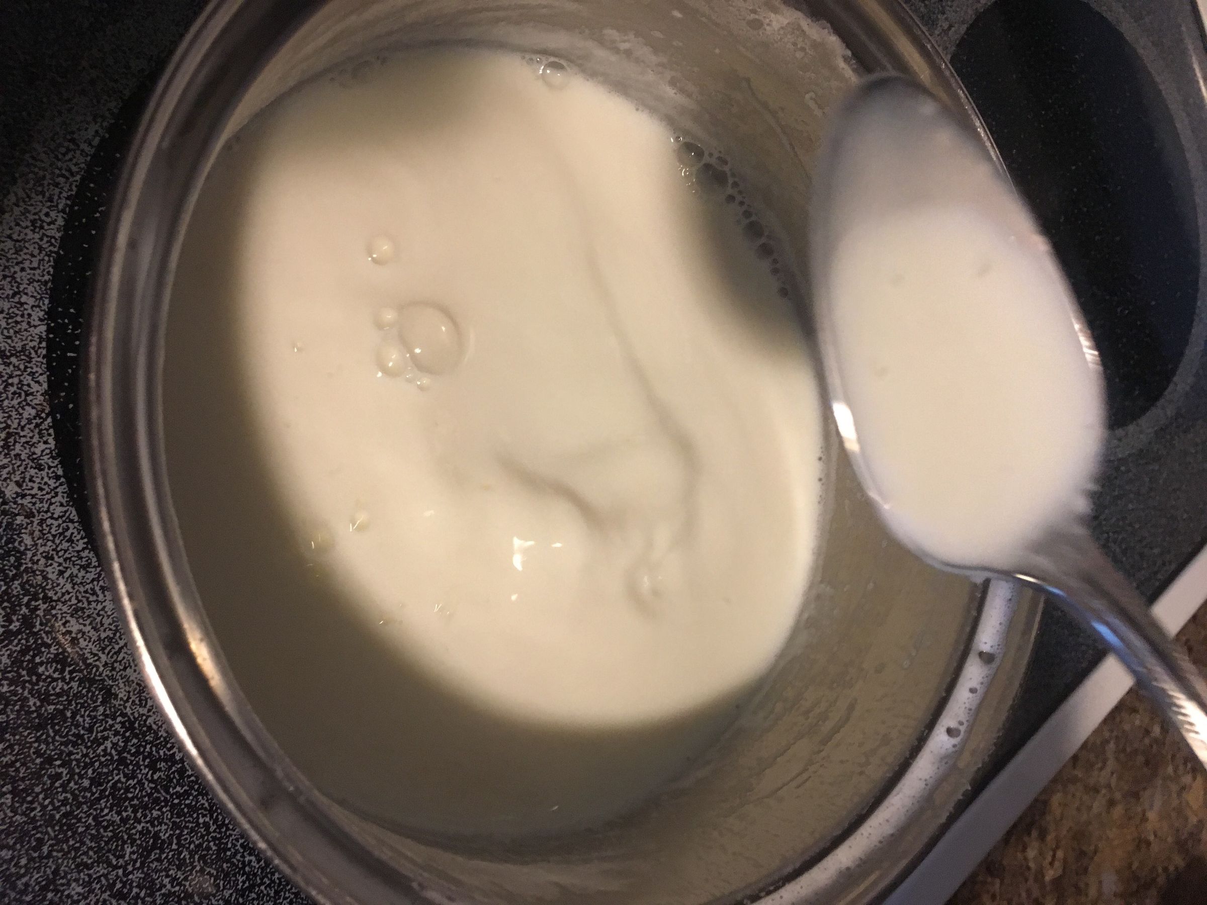 The Fermentation Process of Making Yorgurt : 8 Steps - Instructables