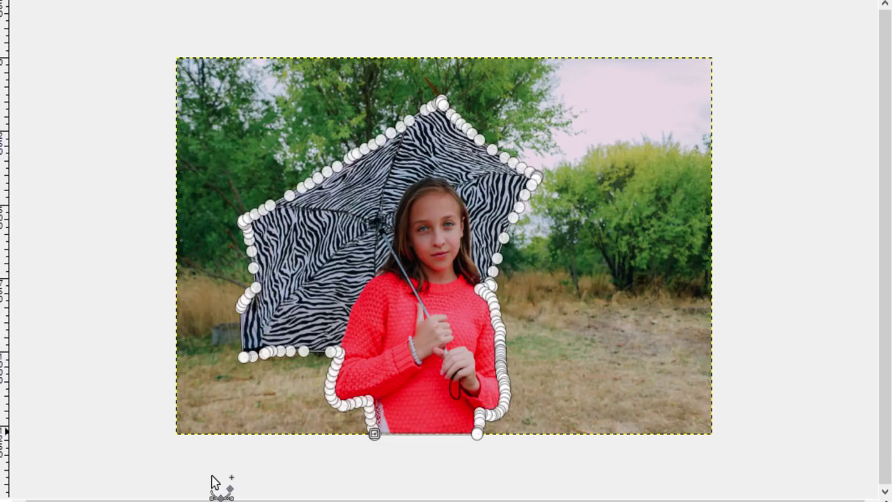 How to Remove Background of the Image Using GIMP (Path Tool) : 5 Steps - Instructables