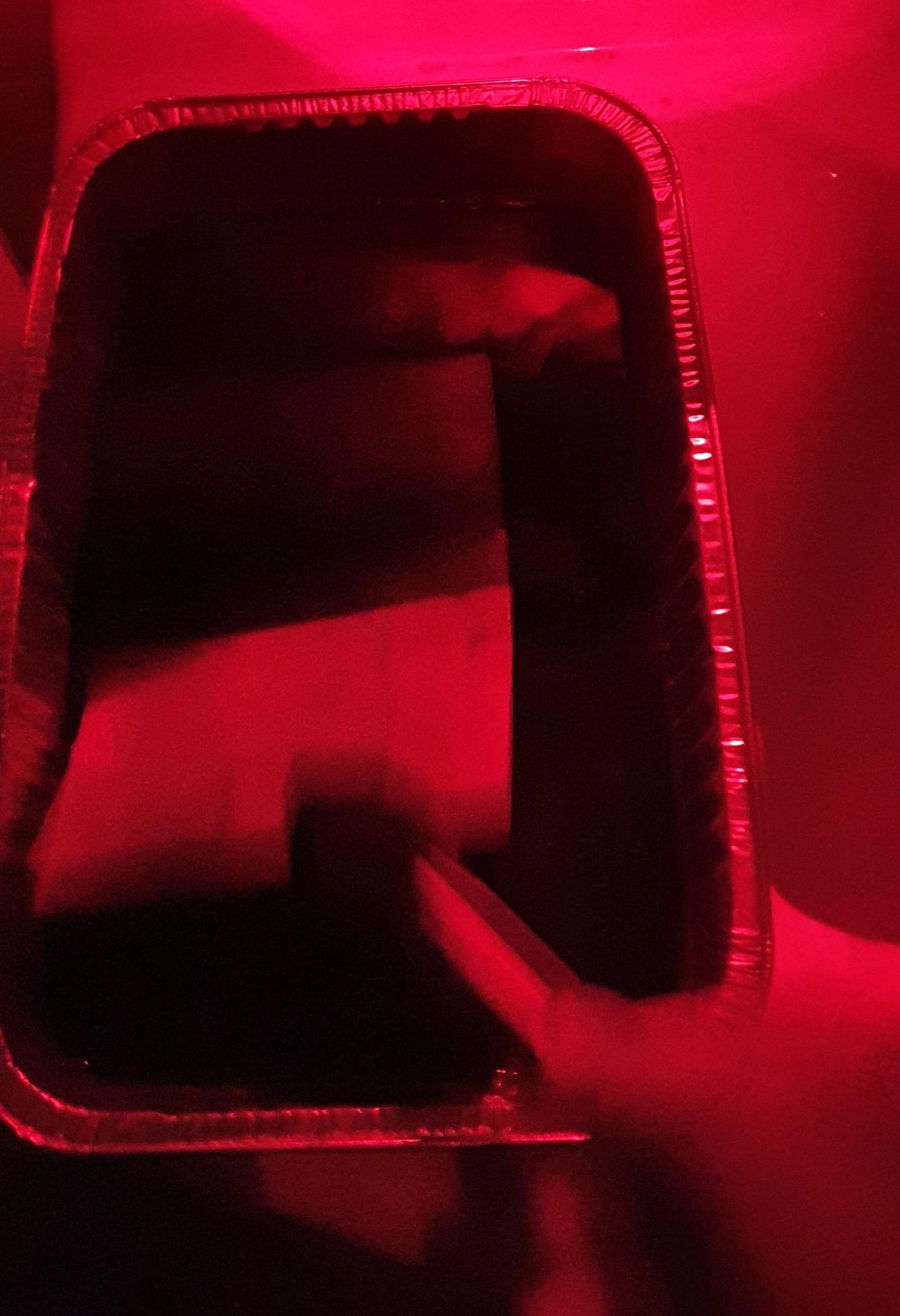 Beer Can Pinhole Camera Photography : 10 Steps (with Pictures ...