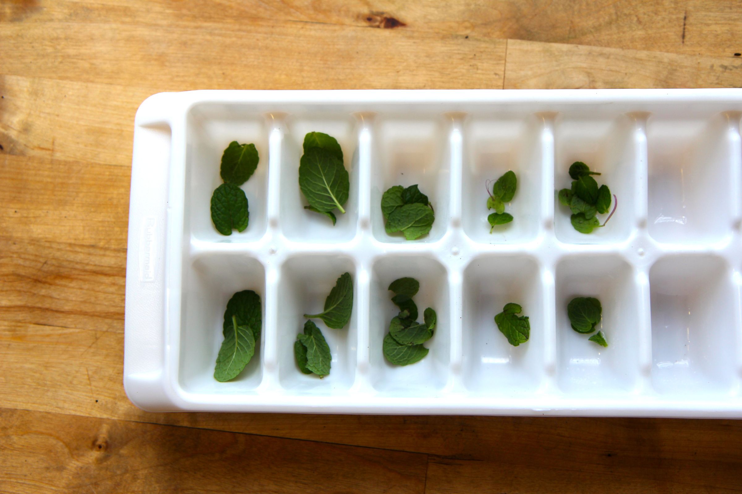 Freezing Fresh Herbs : 5 Steps (with Pictures) - Instructables