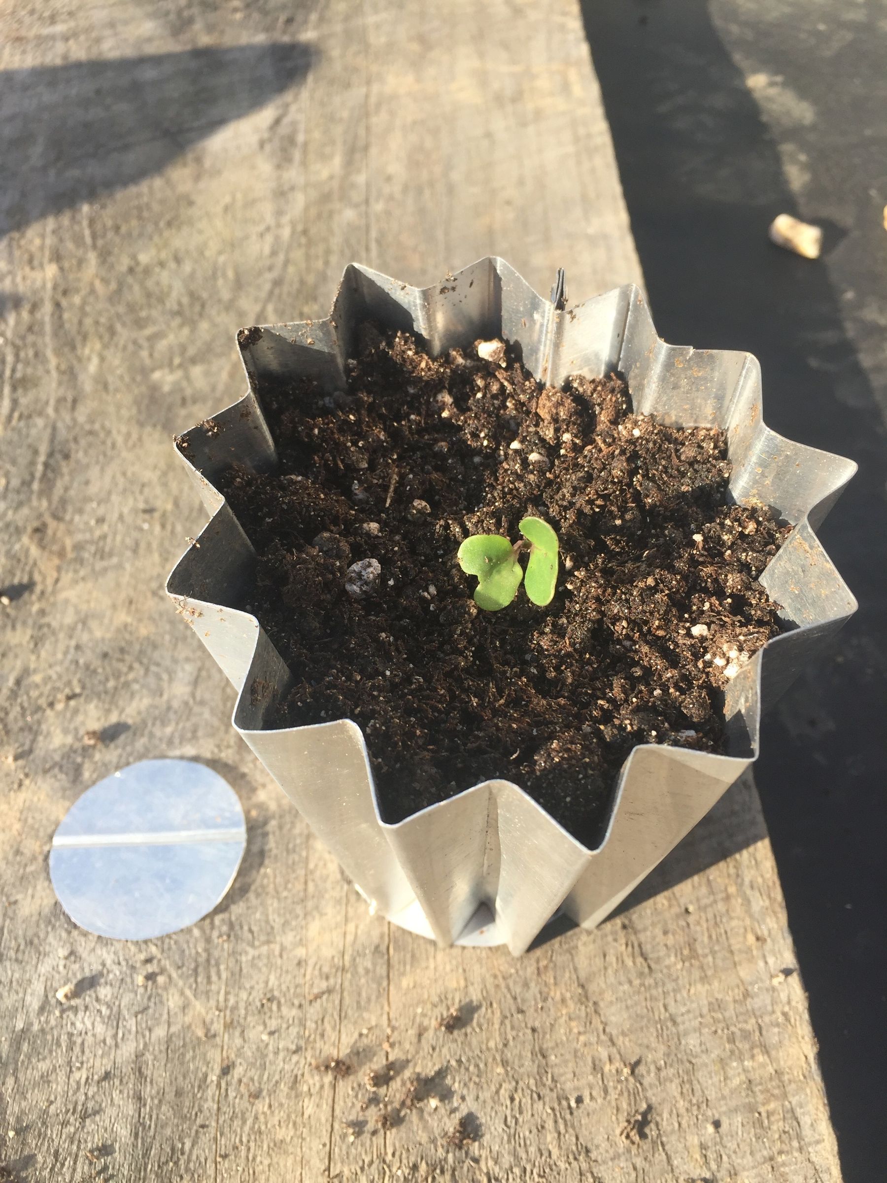 Expandable Planter : 9 Steps - Instructables