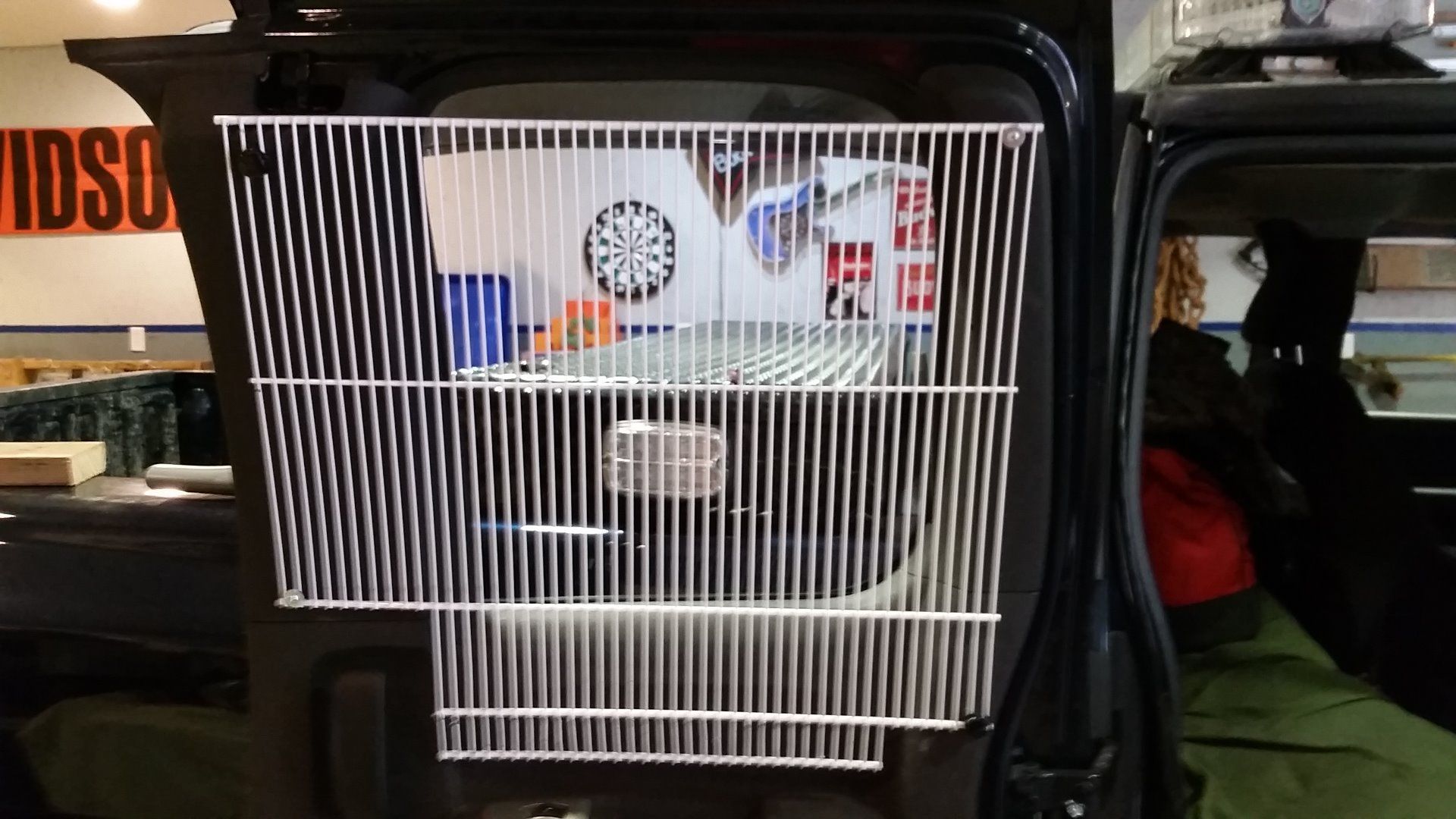 Window Grates (Automotive) : 5 Steps - Instructables