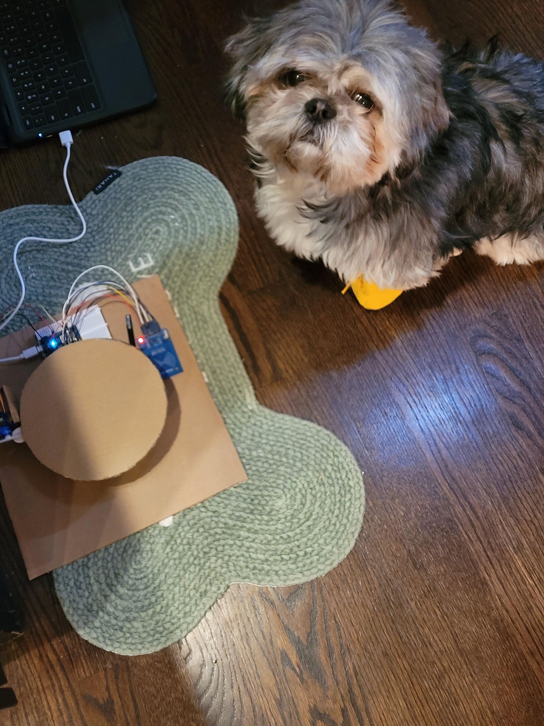 Automated Dog Bowl : 6 Steps (with Pictures) - Instructables