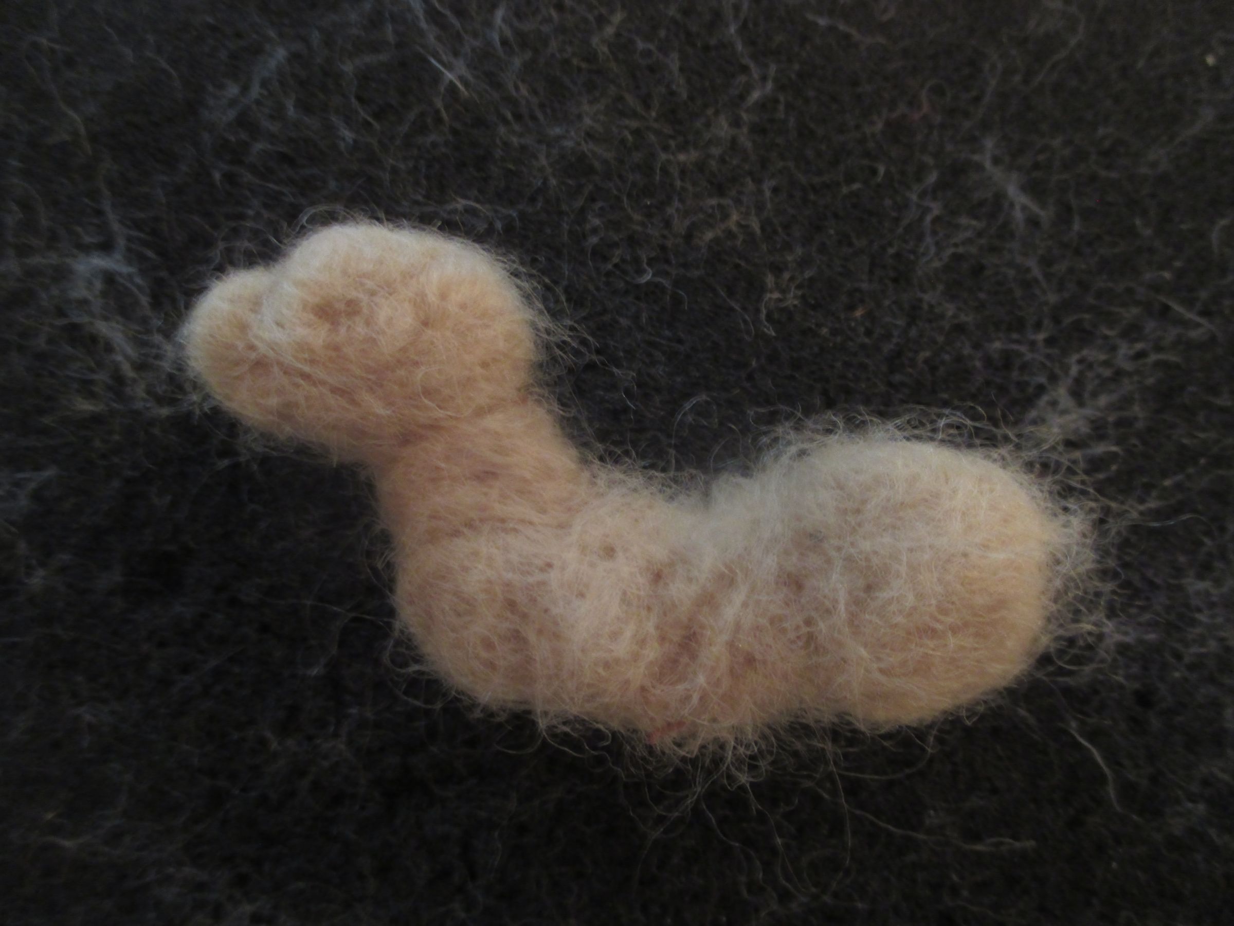 Tiny Needle Felted Dog : 6 Steps (with Pictures) - Instructables