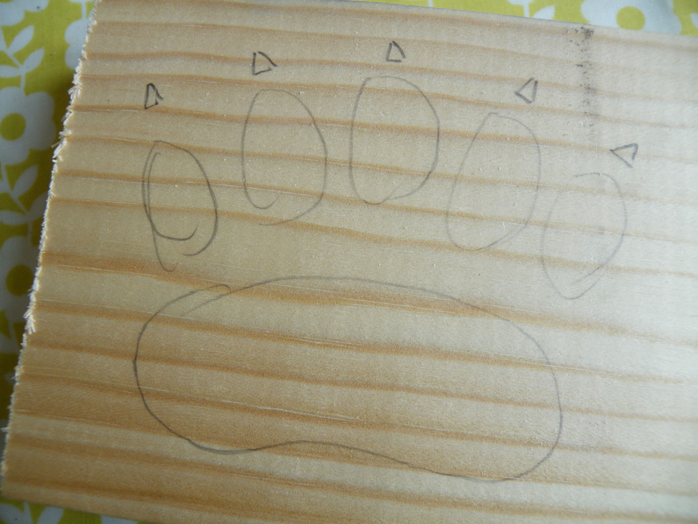 Animal Tracks for Plaster Casting. : 5 Steps (with Pictures ...