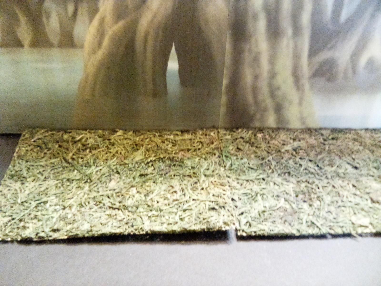 Riverbank Diorama : 6 Steps - Instructables