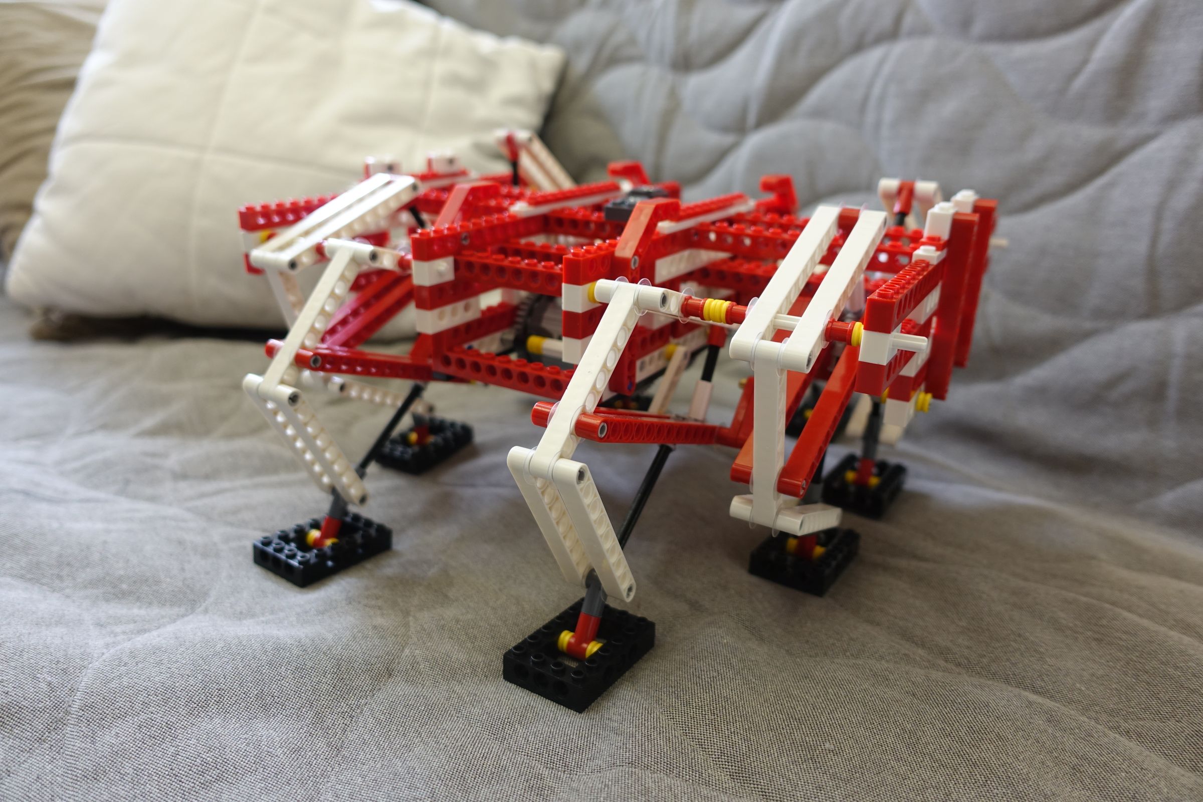 Robot Cat : 20 Steps (with Pictures) - Instructables
