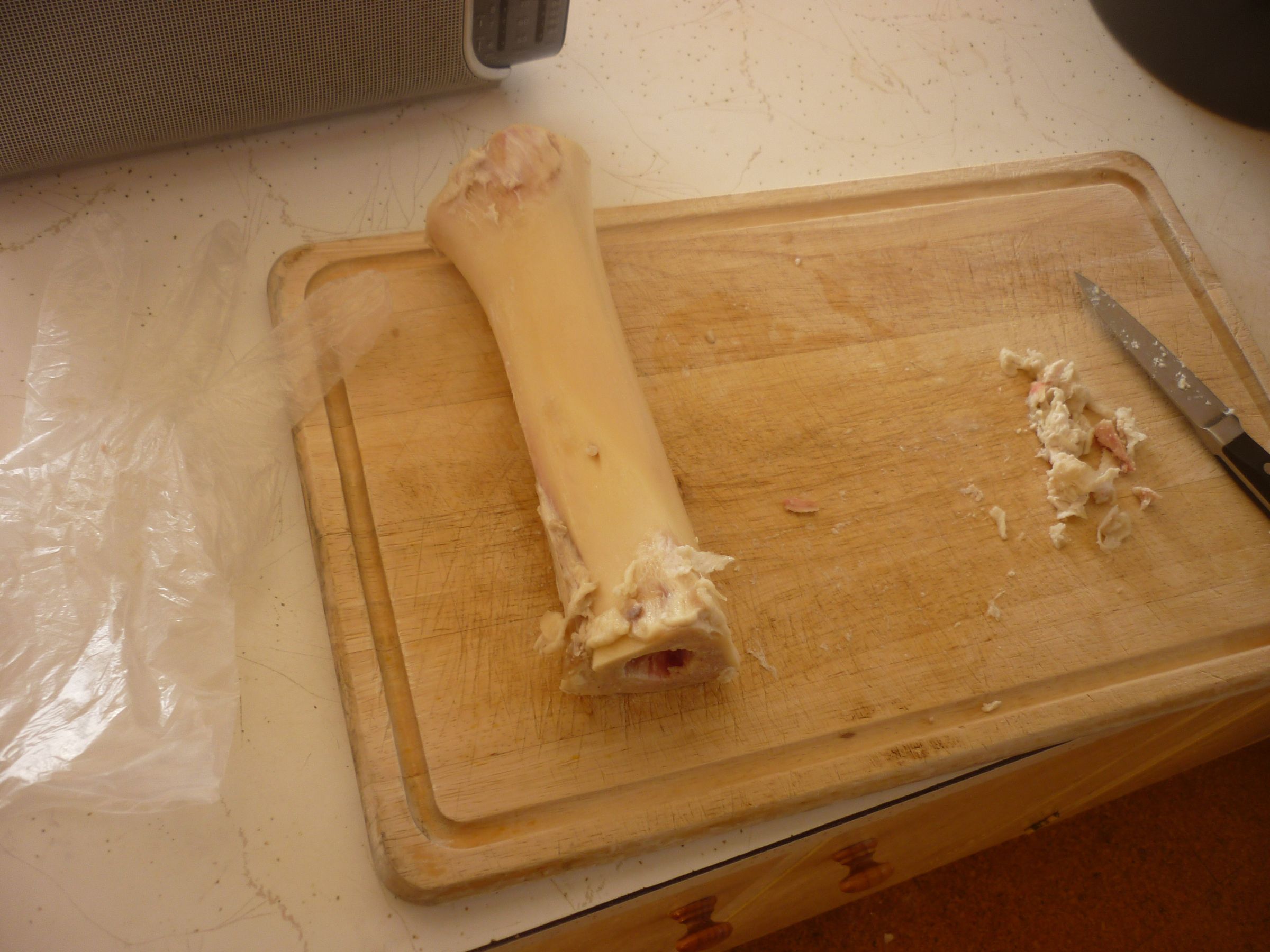 Prepare Bone for Carving : 8 Steps - Instructables