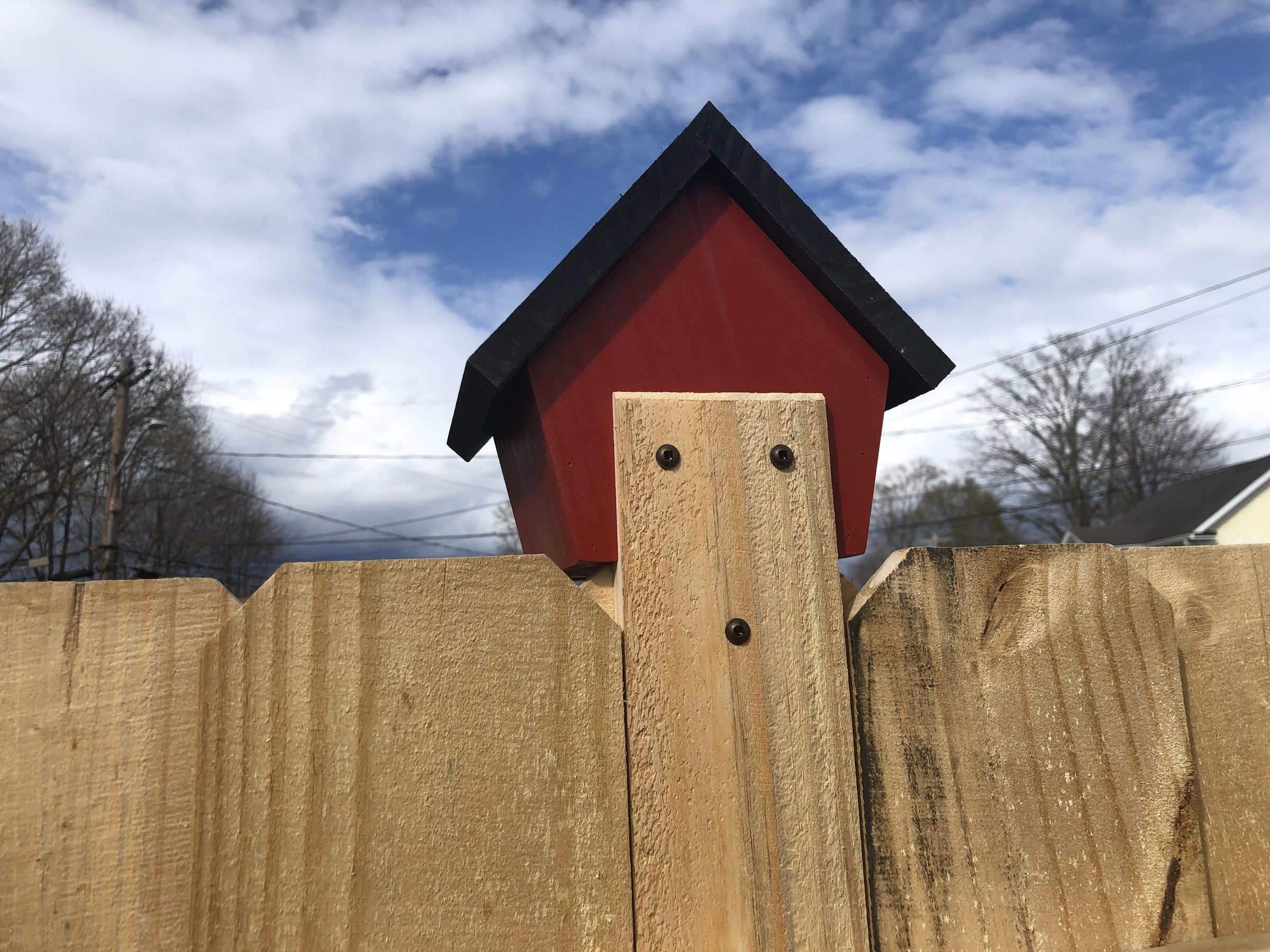 BIRD Eater | Monster HOUSE : 16 Steps (with Pictures) - Instructables