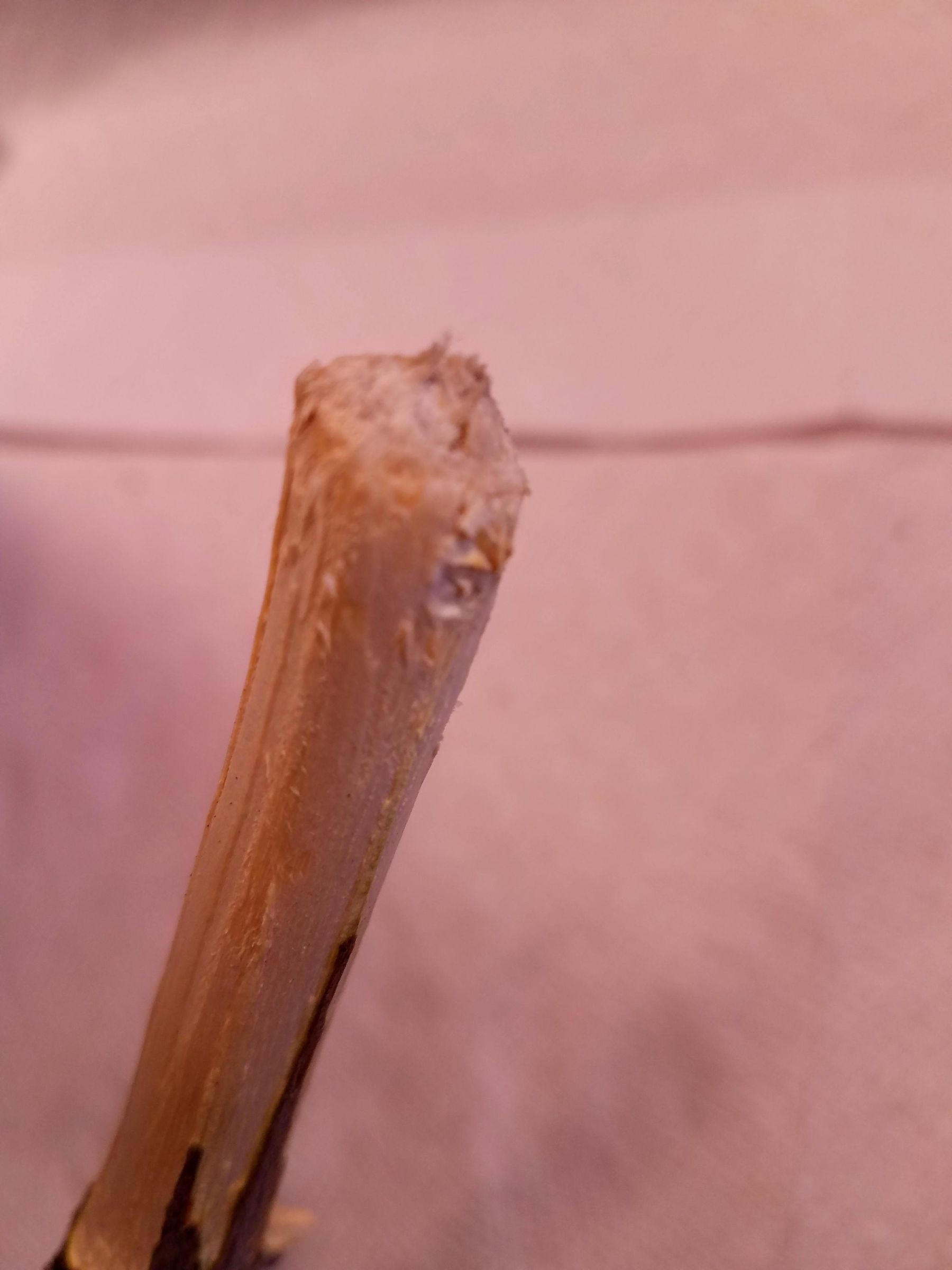 Complete Hobo Stove & Cooking Pots System Bundle, No Tools Build, for ...