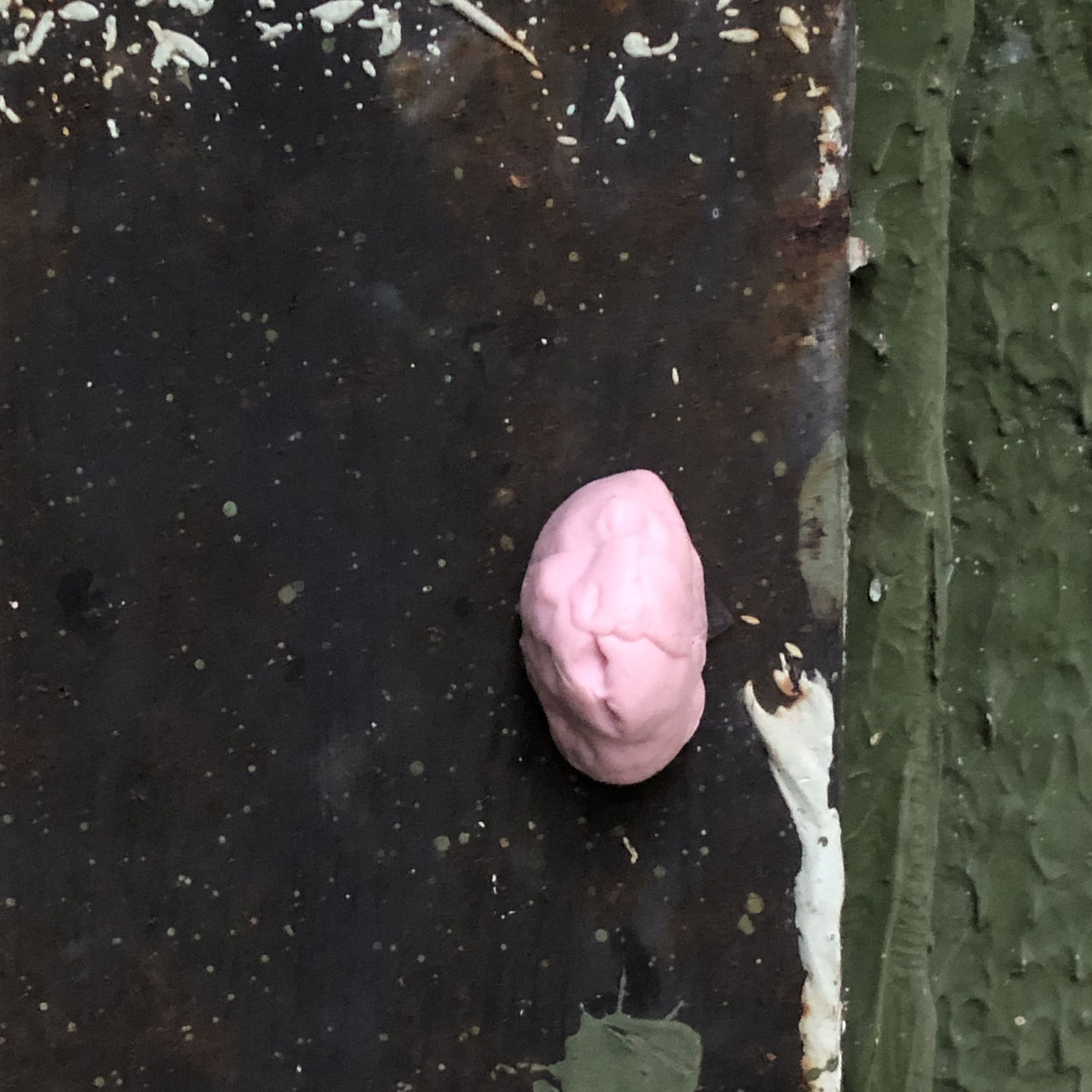 Fake Chewing Gum Container : 5 Steps (with Pictures) - Instructables