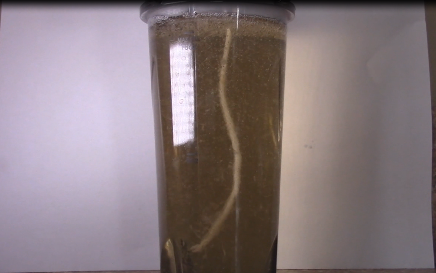 Growing Rock Candy in Only a Few Hours!! : 8 Steps (with Pictures ...