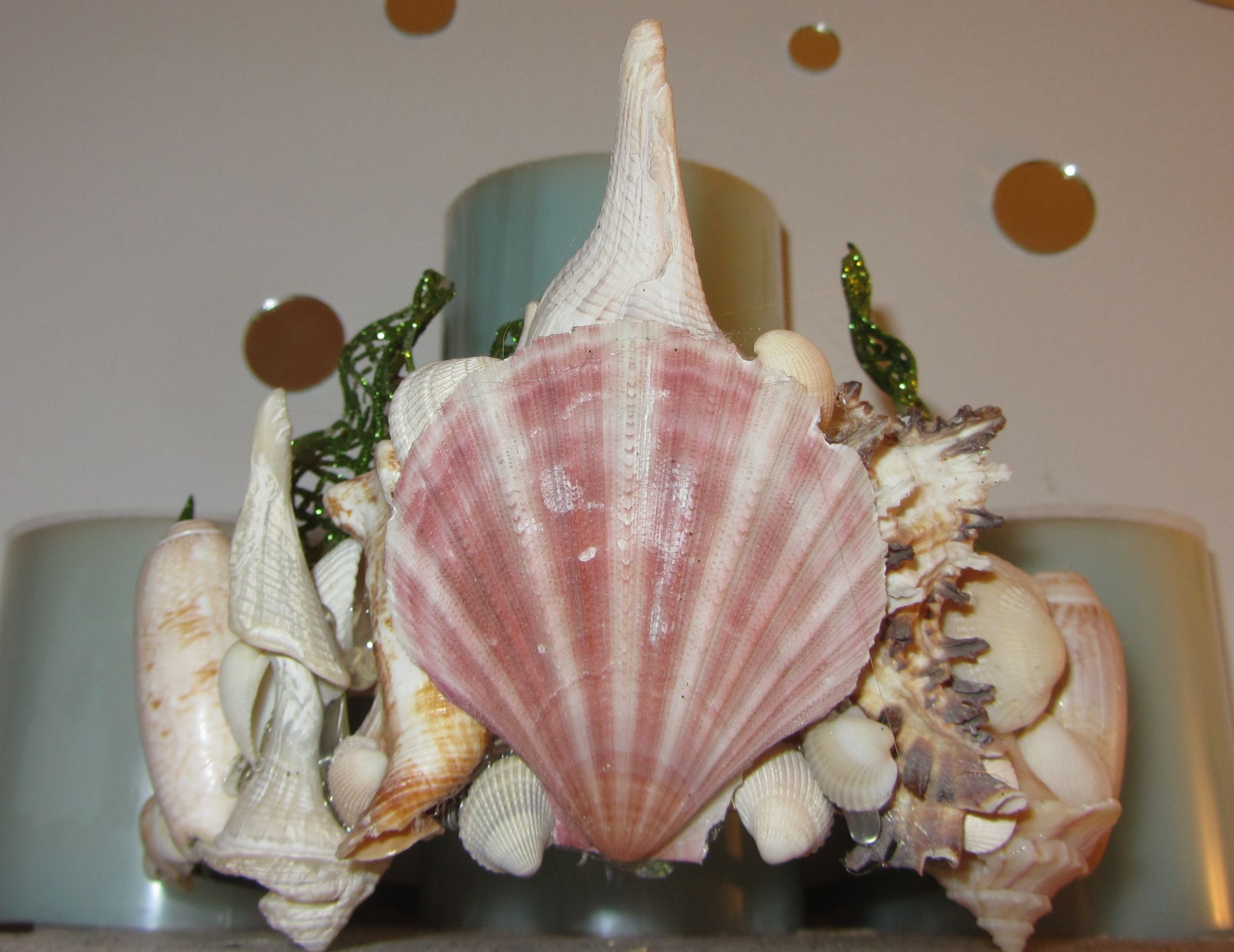 DIY Mermaid Shell Crown : 6 Steps (with Pictures) - Instructables