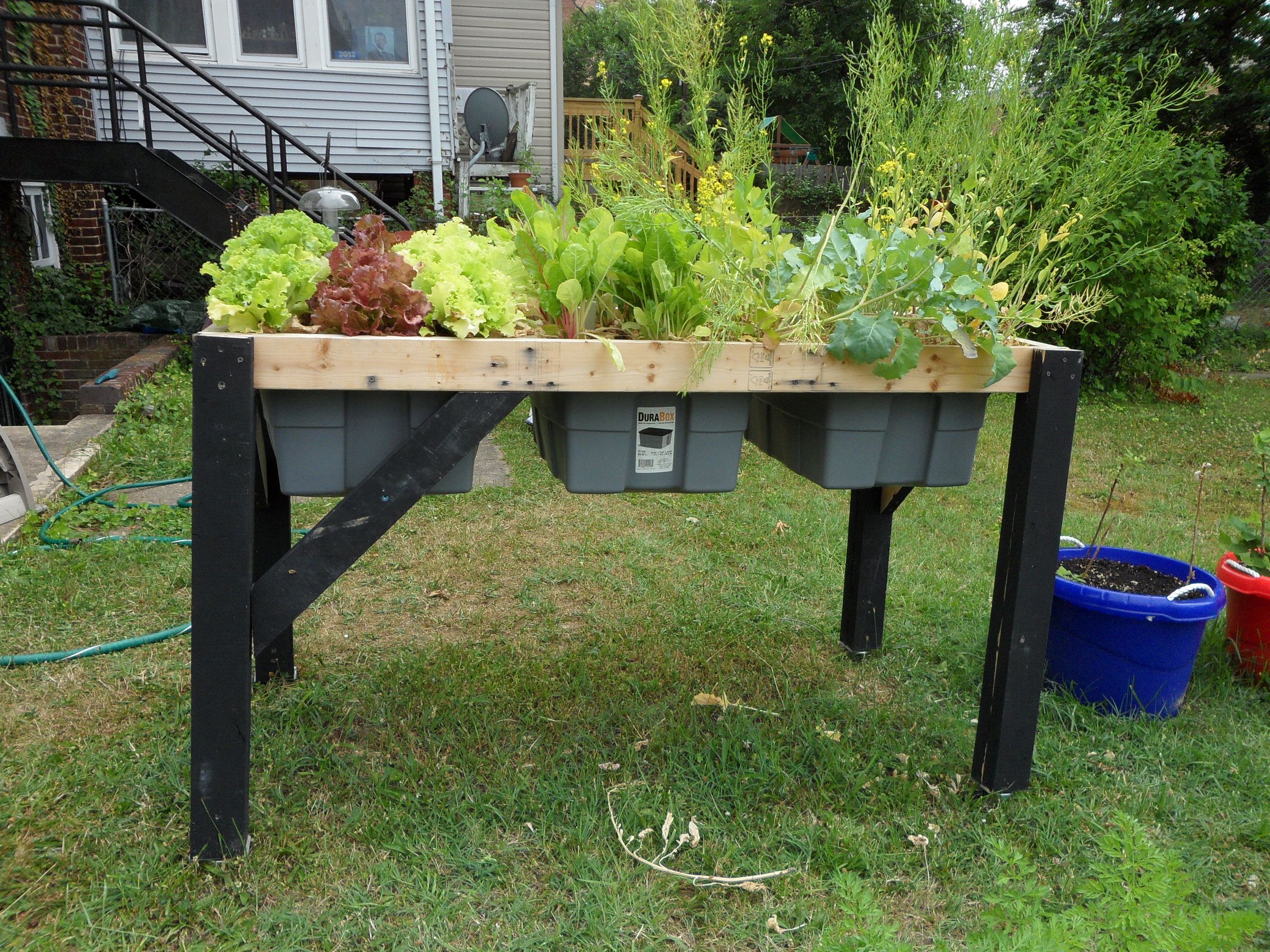 Self-Watering Veggie Table : 15 Steps (with Pictures) - Instructables