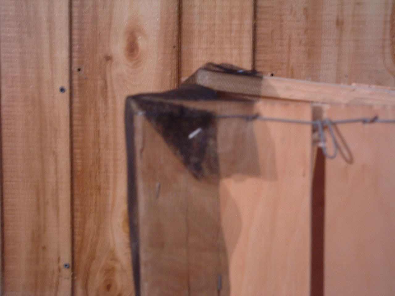 How to Make a Cricket Trap : 6 Steps - Instructables