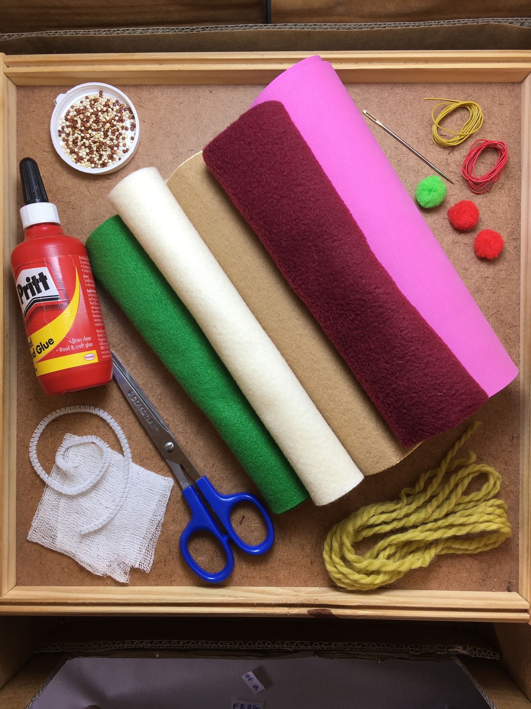 DIY Frog for Dissecting : 11 Steps (with Pictures) - Instructables