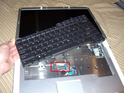 Dell Laptop WI-FI High Gain Antenna Mod, Increase Internal Network ...