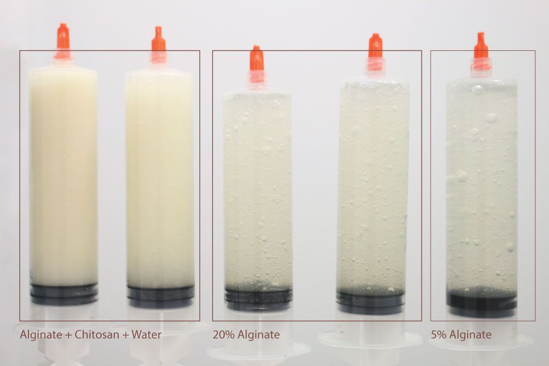 Create Bio-yarn : 8 Steps (with Pictures) - Instructables