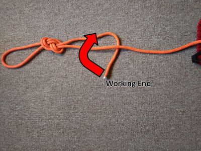 How to Tie a Figure 8 on a Bight : 11 Steps (with Pictures) - Instructables
