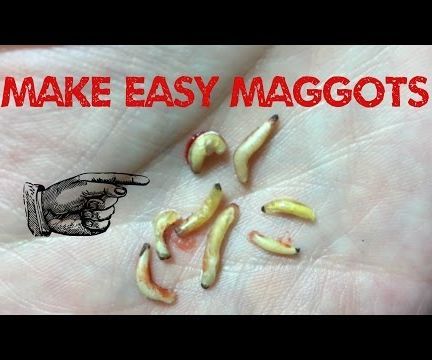 Easy and Realistic DIY Maggots : 6 Steps - Instructables