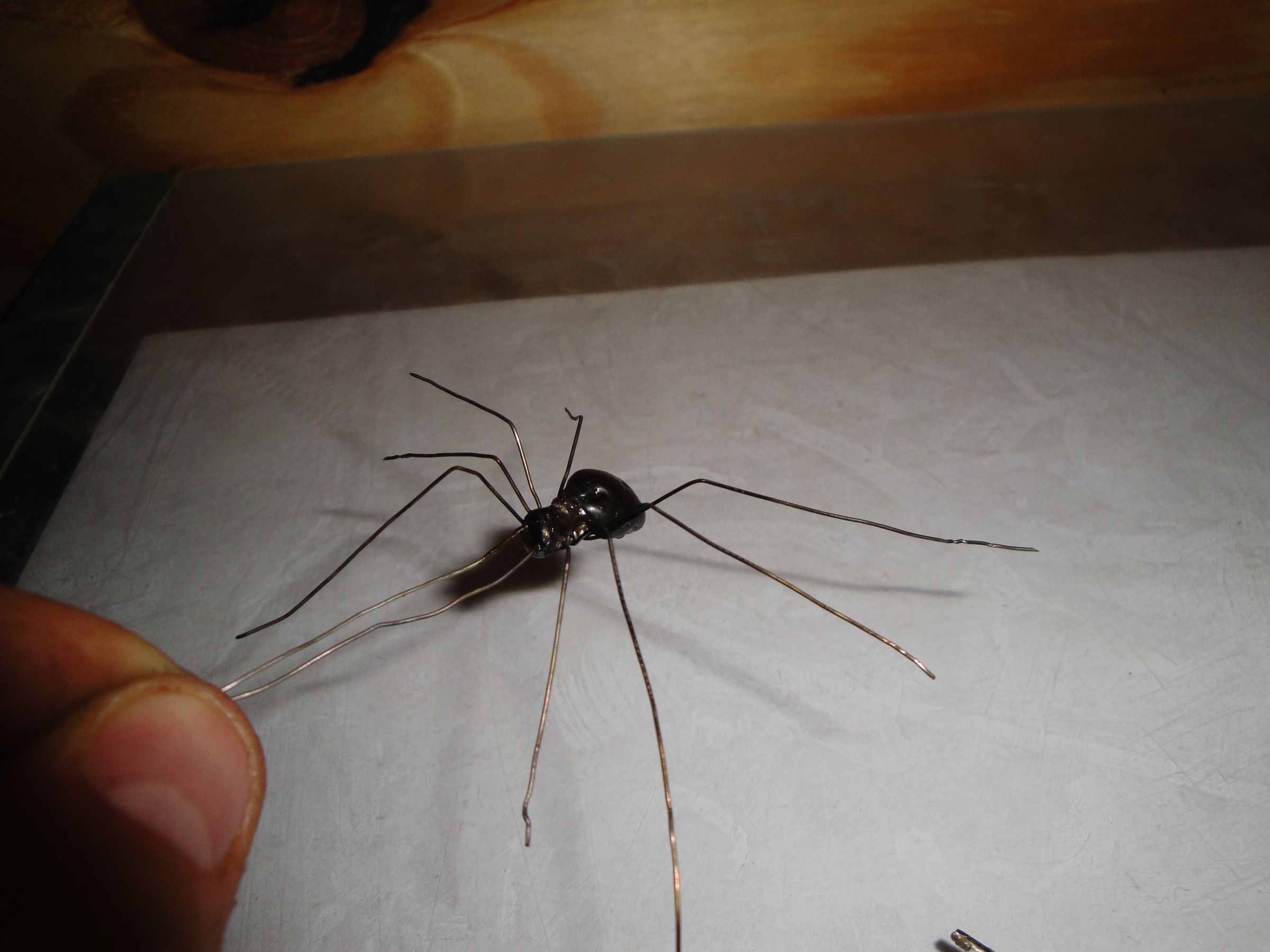 Realistic Spider (Life-Size Prop) : 7 Steps (with Pictures) - Instructables