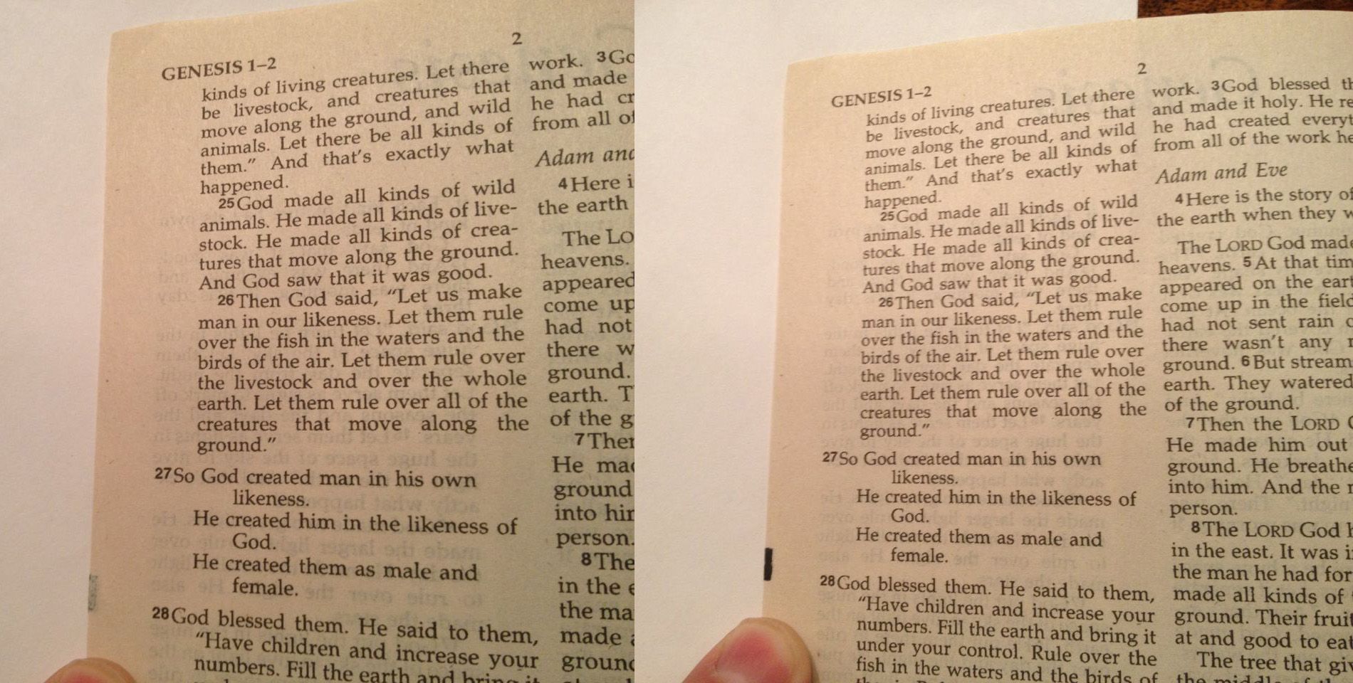 Index the Edge of a Bible : 16 Steps - Instructables