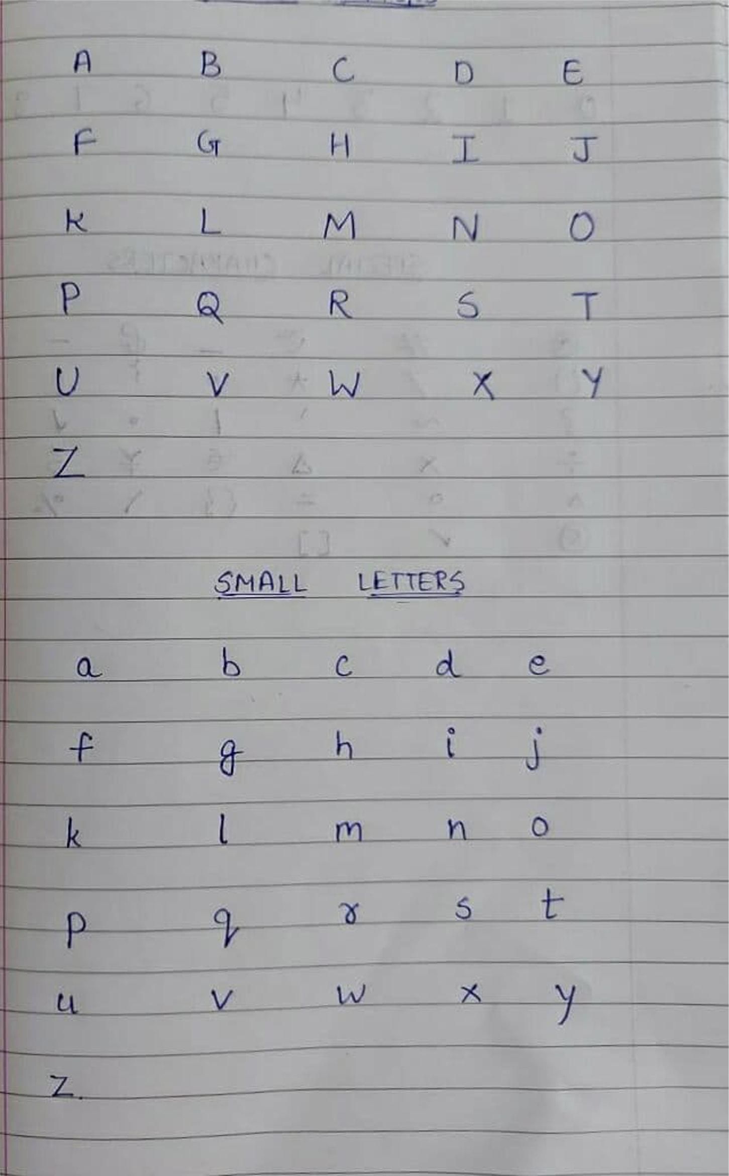 Homework Writing Robot With Python ( Python Program That Writes ...