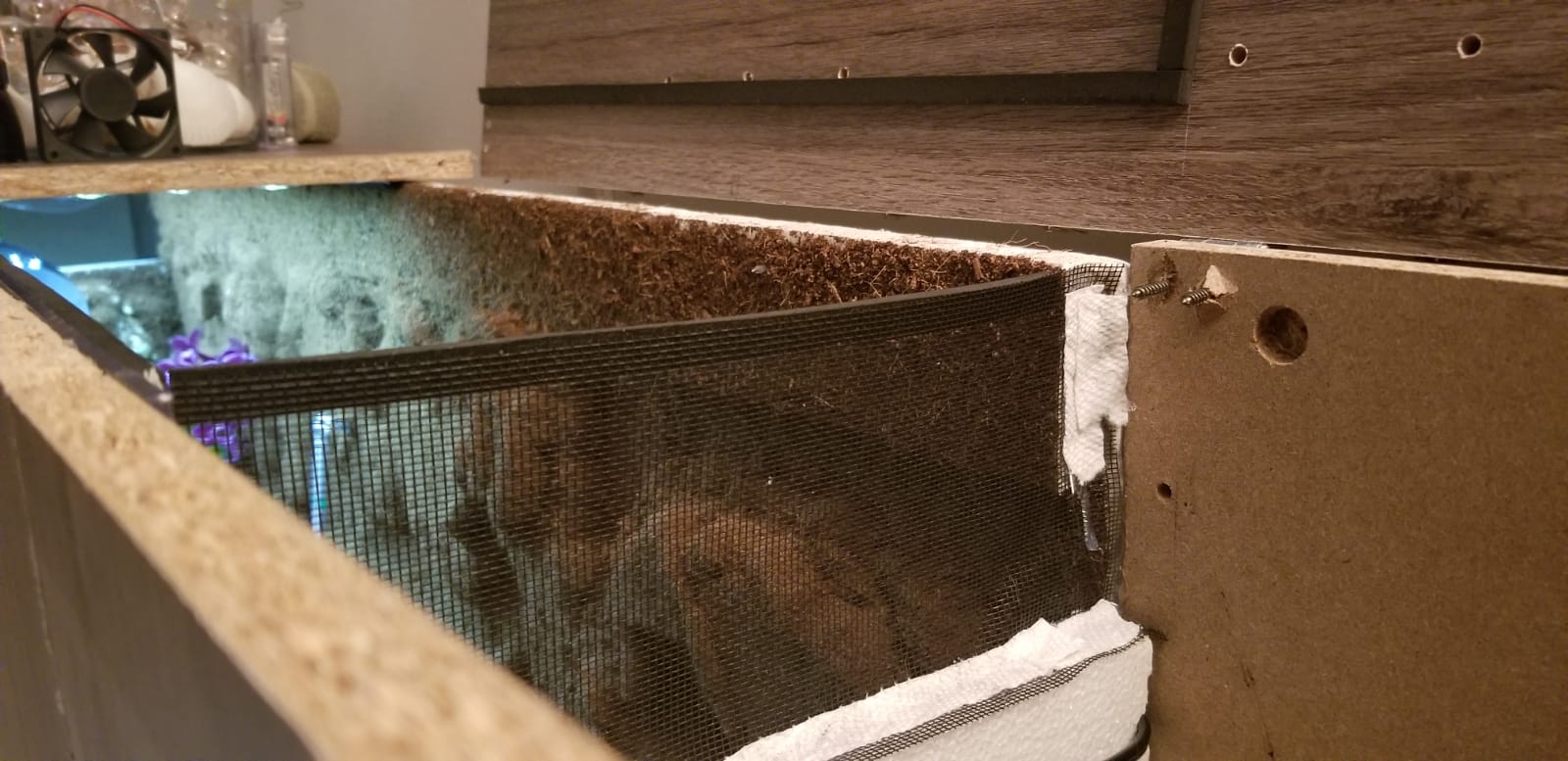 Reptile Enclosure Entertaiment Center! : 10 Steps (with Pictures) - Instructables