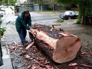 Dugout Canoe : 7 Steps (with Pictures) - Instructables
